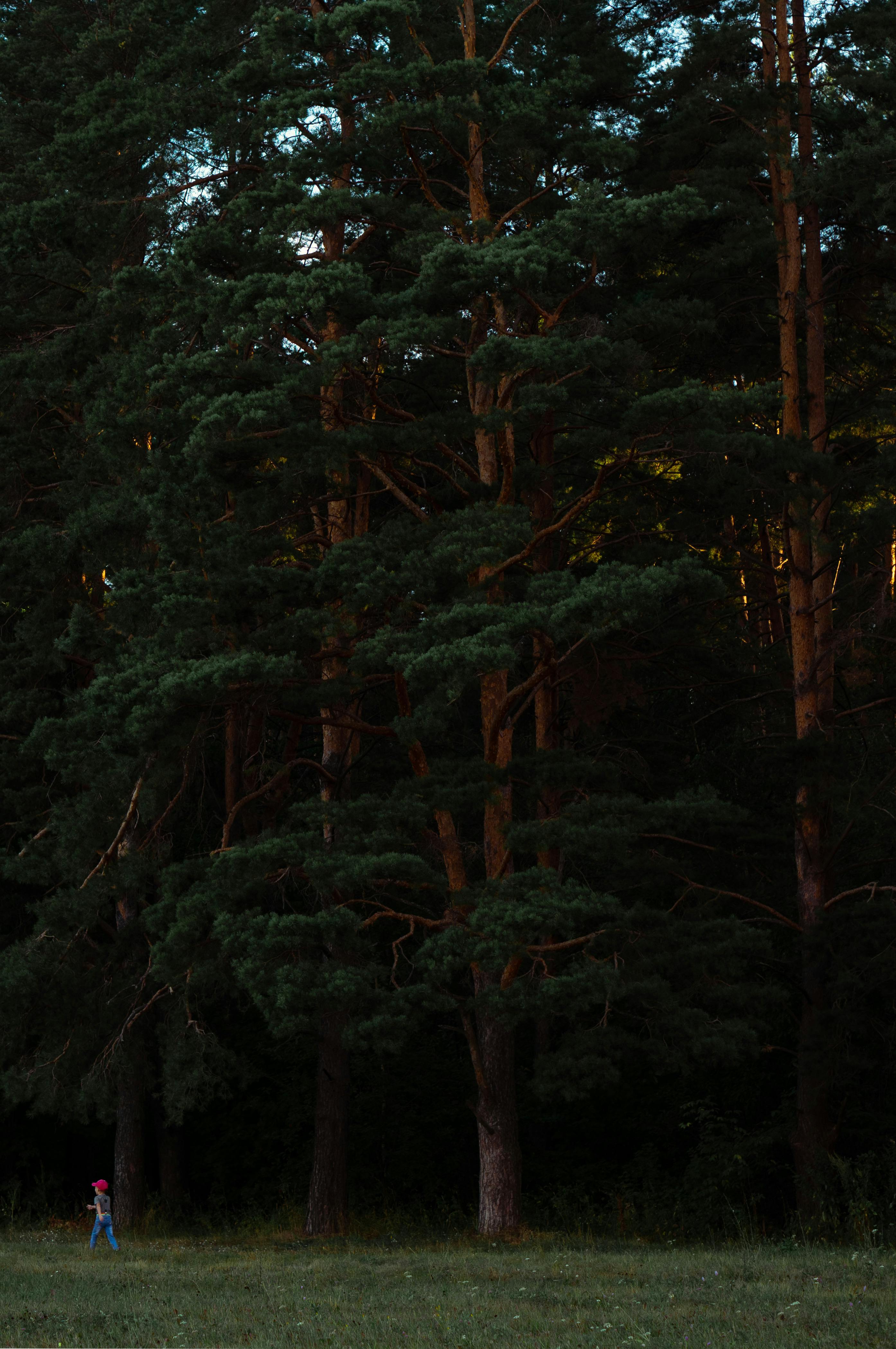 Tall And Short Children Photos, Download The BEST Free Tall And Short ...