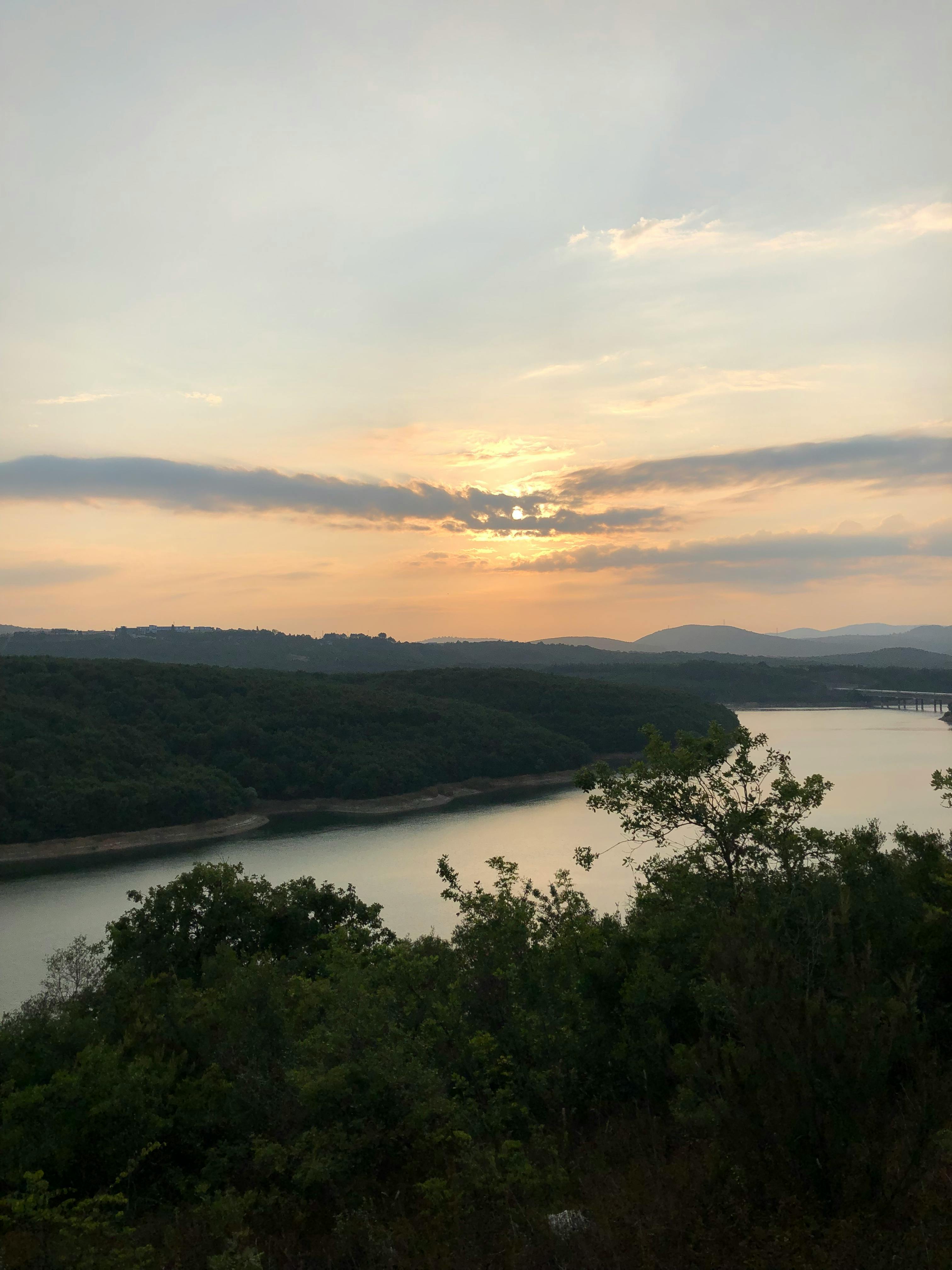 Trees near a River · Free Stock Photo