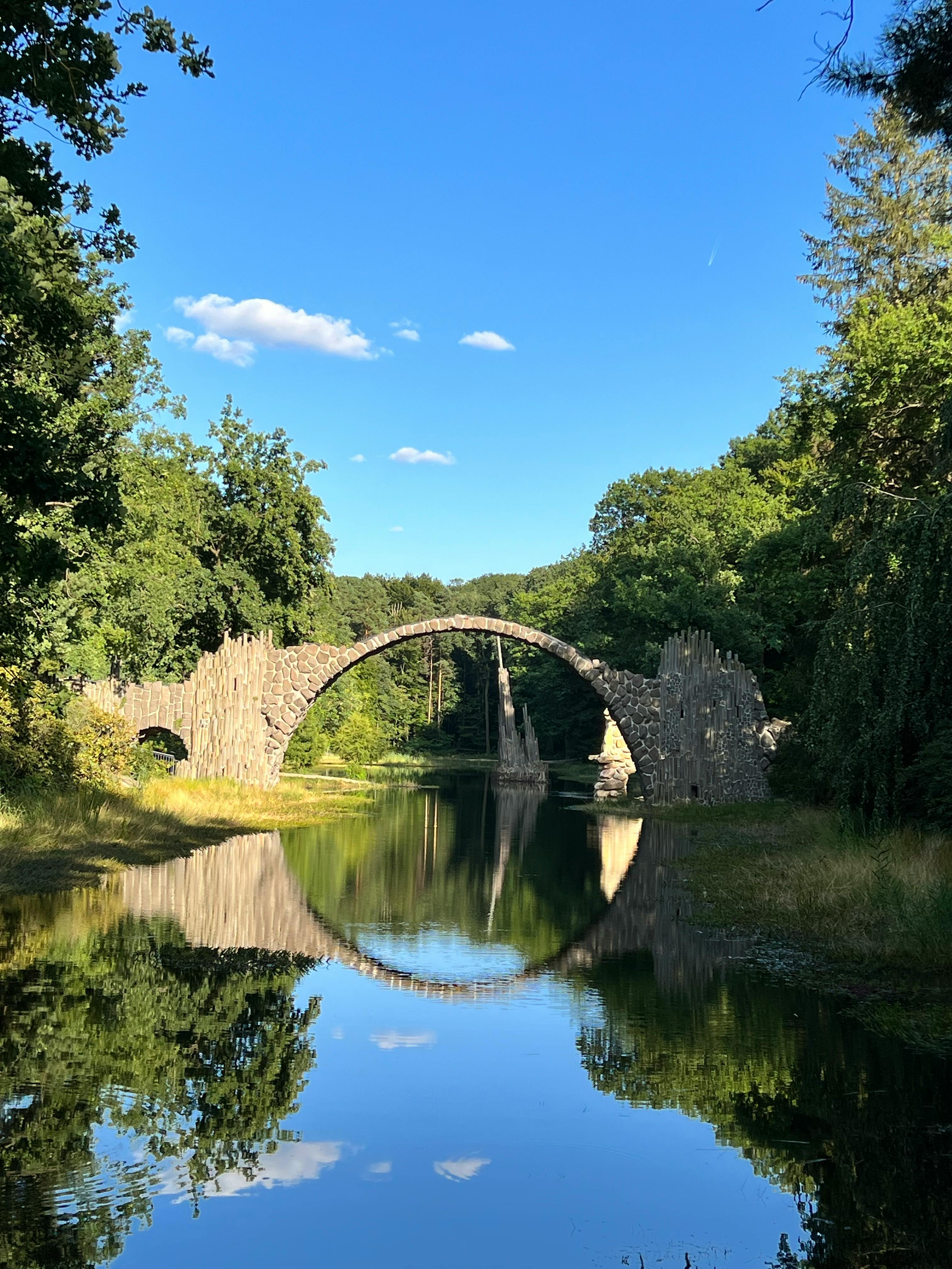 Green Trees Beside River Under Blue Sky · Free Stock Photo