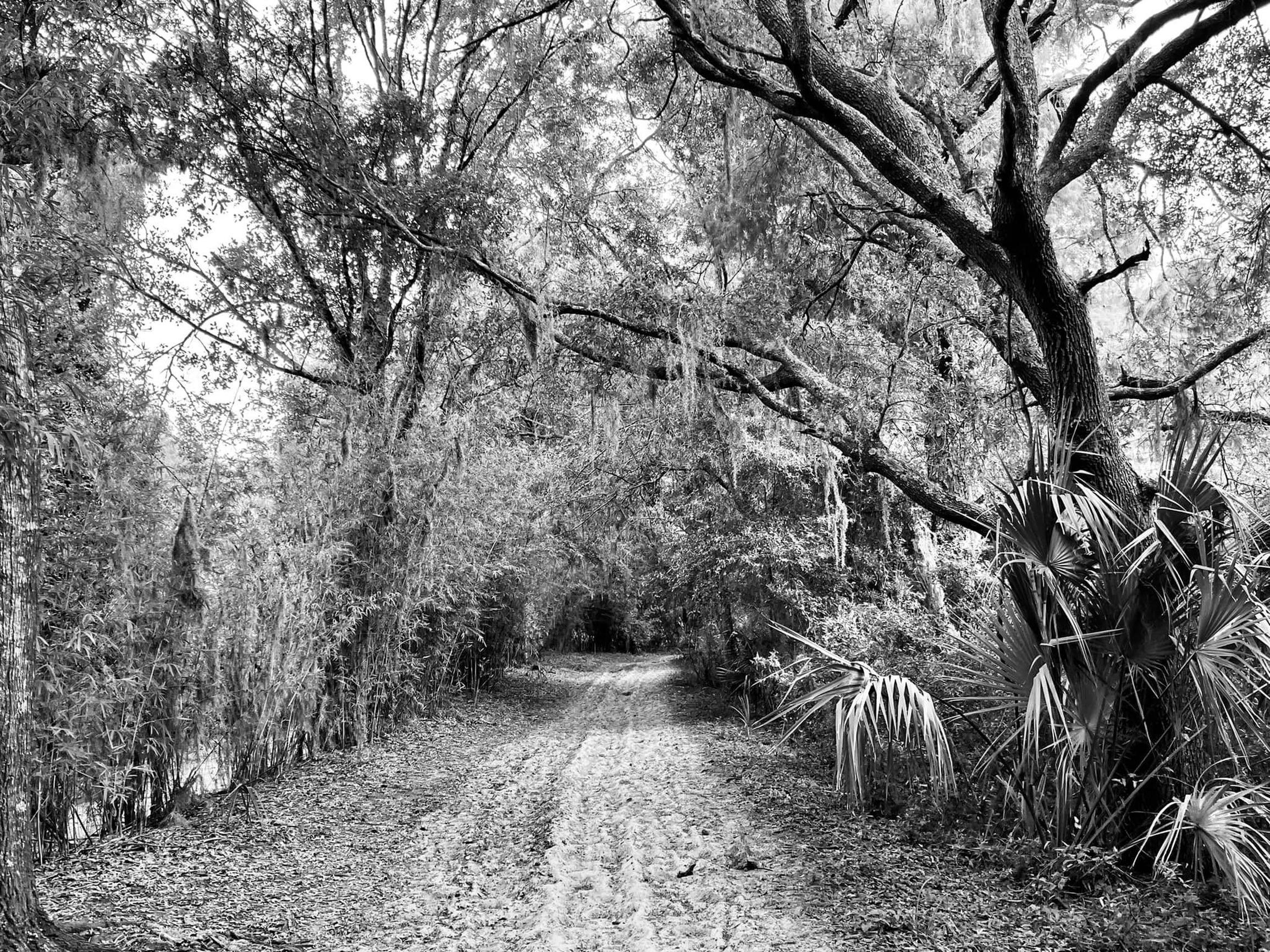 Patrick Ritter, CFP® - 摄影