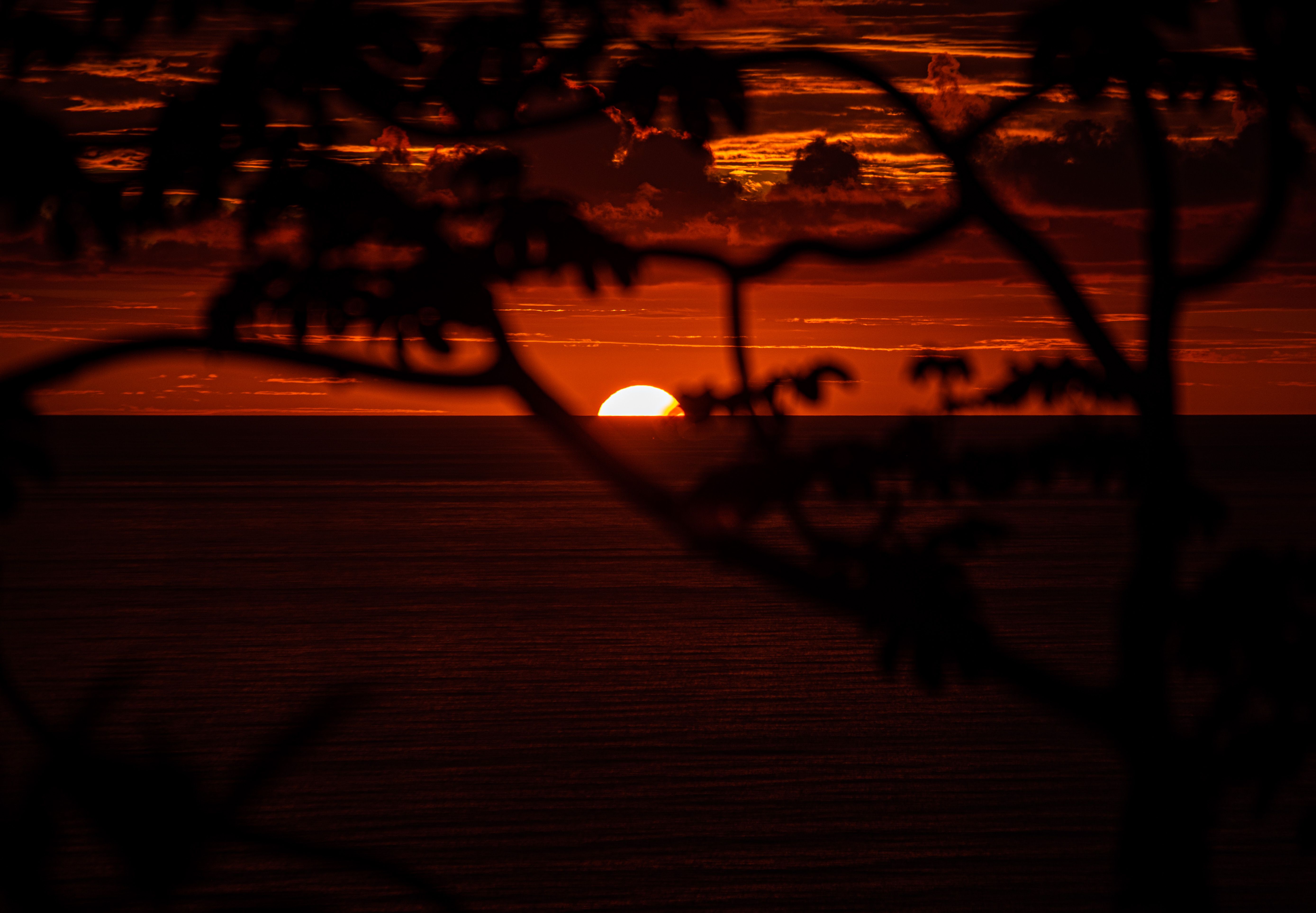 Ocean View During Sunset · Free Stock Photo