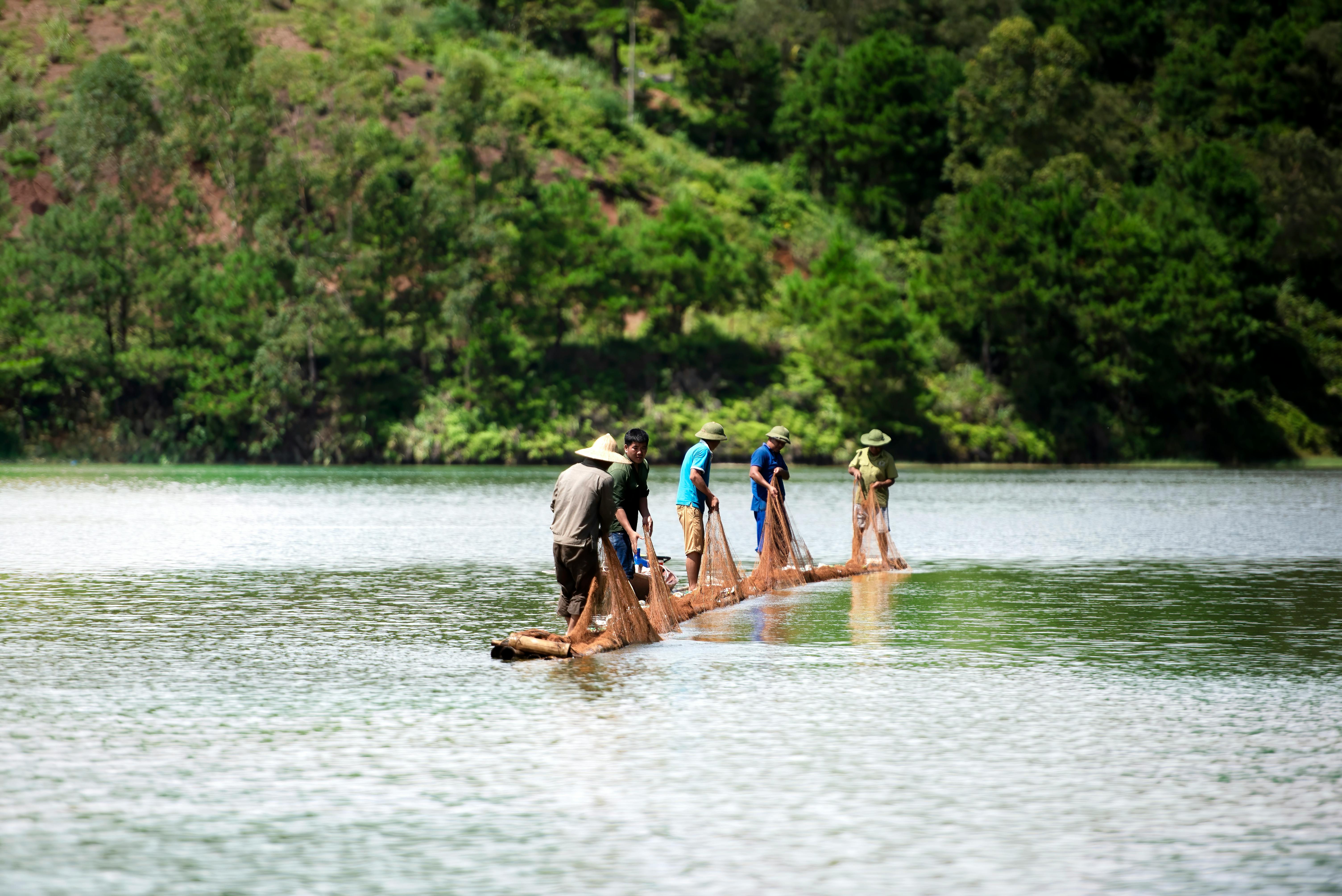 People on Brown Wooden Log on Body of Water Holding Fishing Net · Free ...