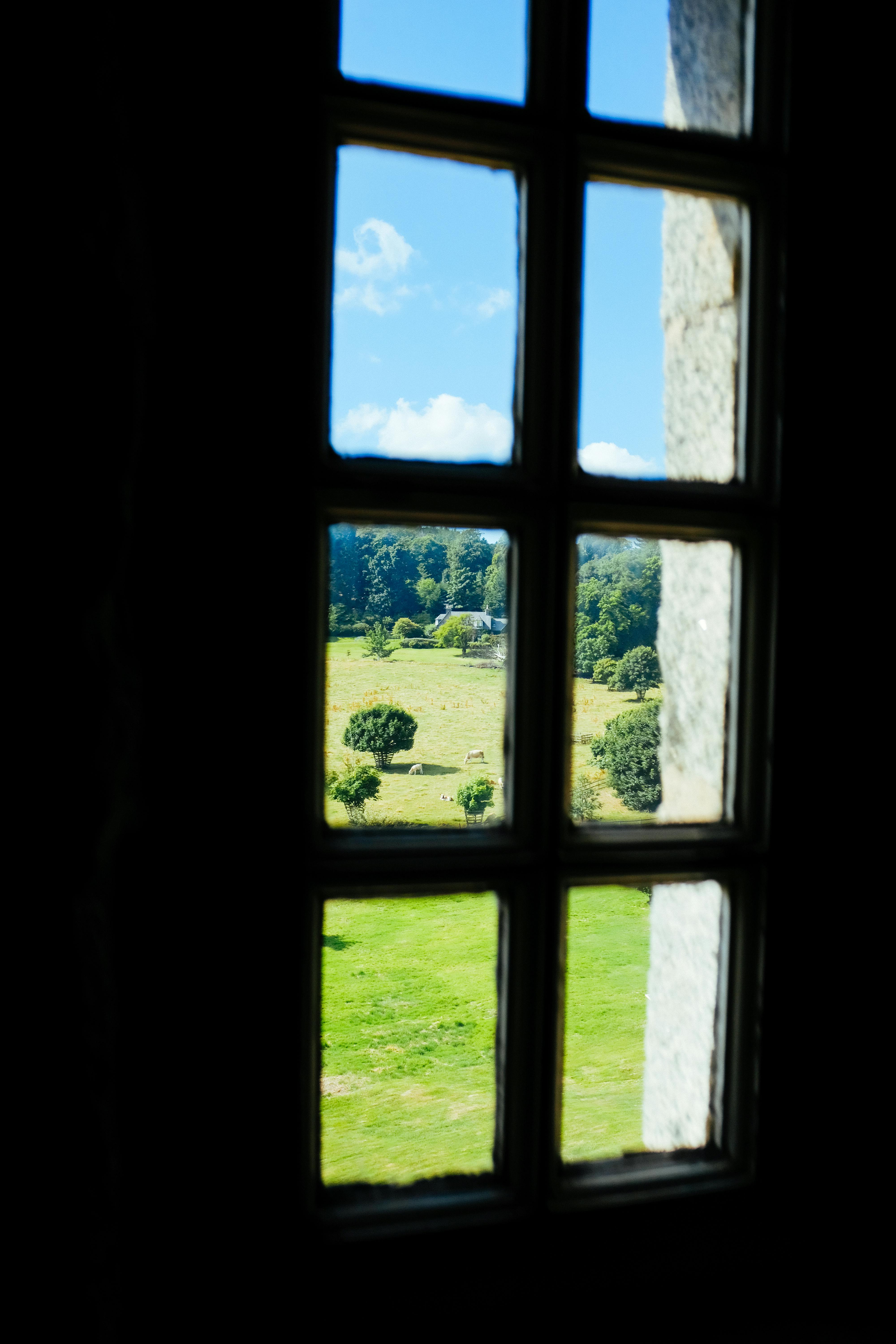 Green Grass Field View from a Glass Window · Free Stock Photo