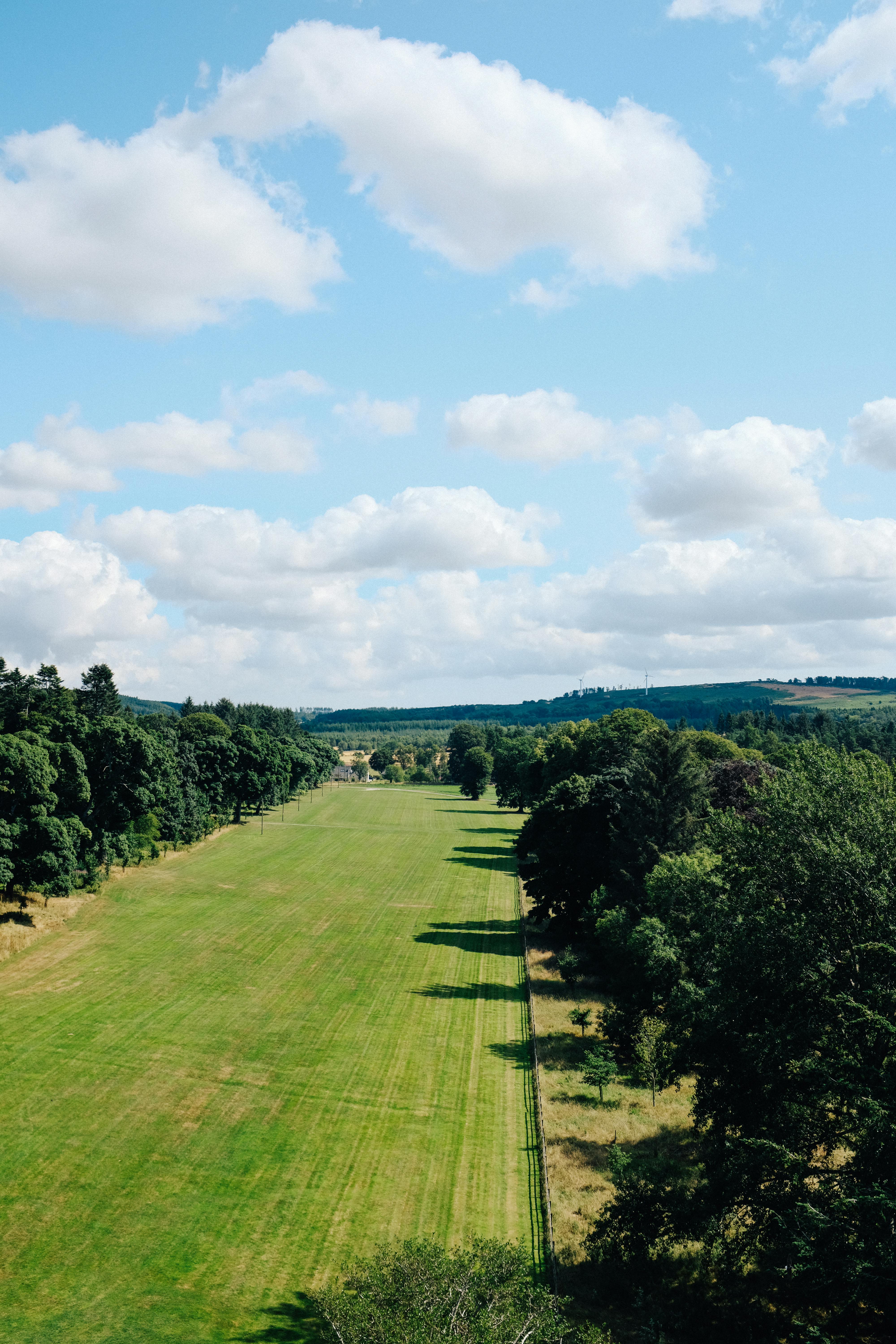 Birds Eye View of a Verdant Landscape · Free Stock Photo