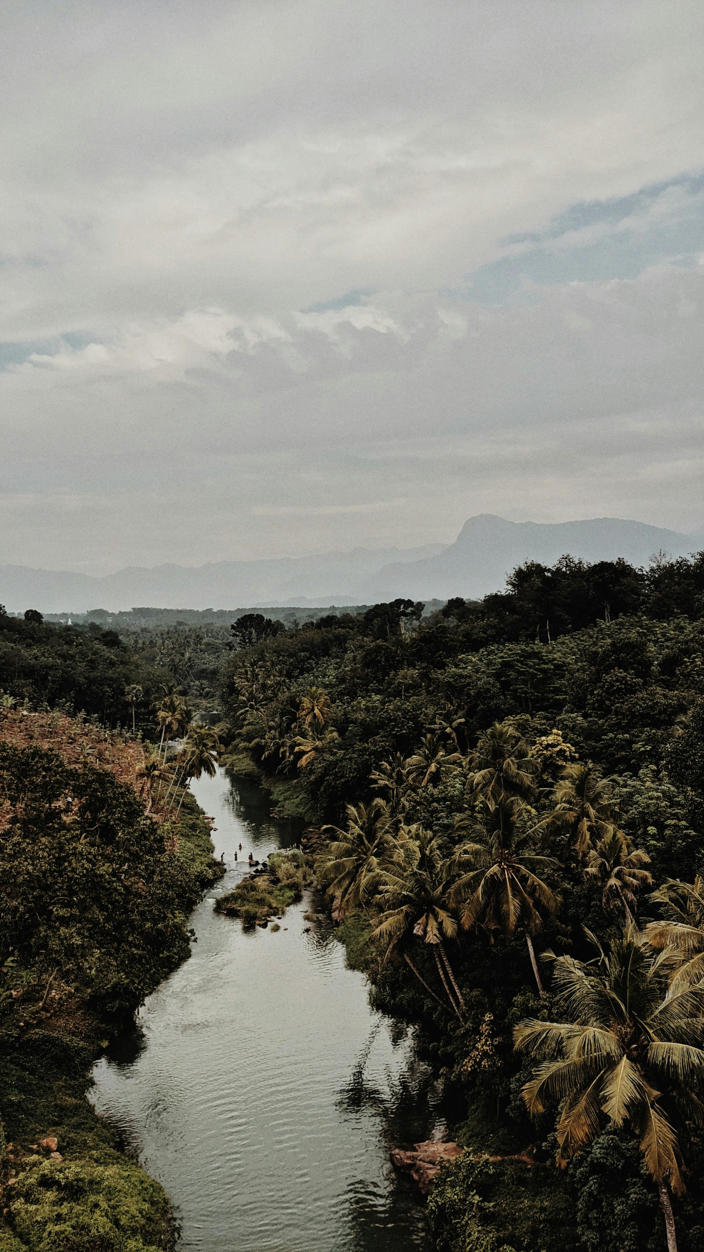 Amazon River Photos, Download The BEST Free Amazon River Stock Photos ...