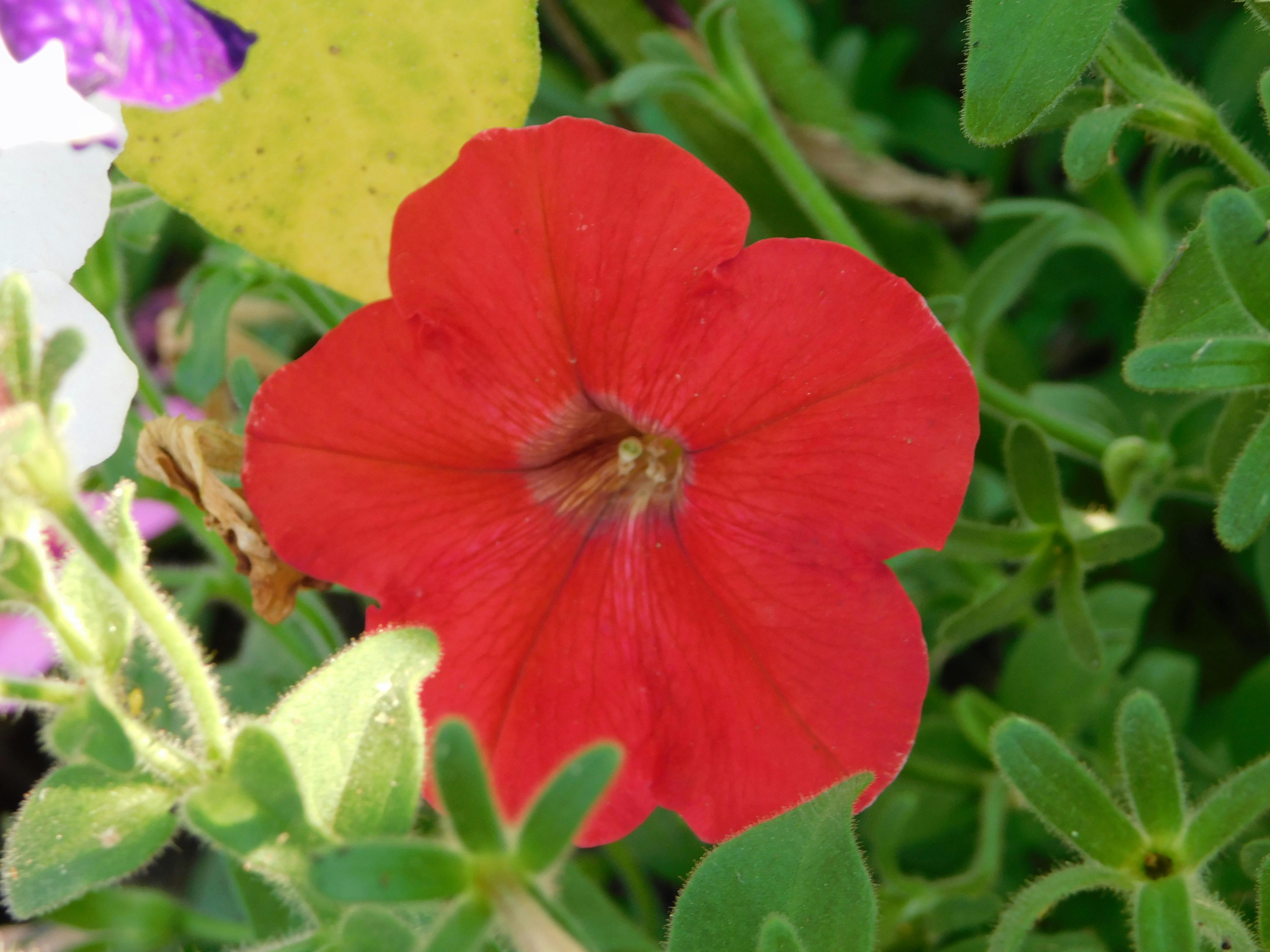 Spokane Golf Course Directory - Find the Best Golf Courses in Spokane, WA