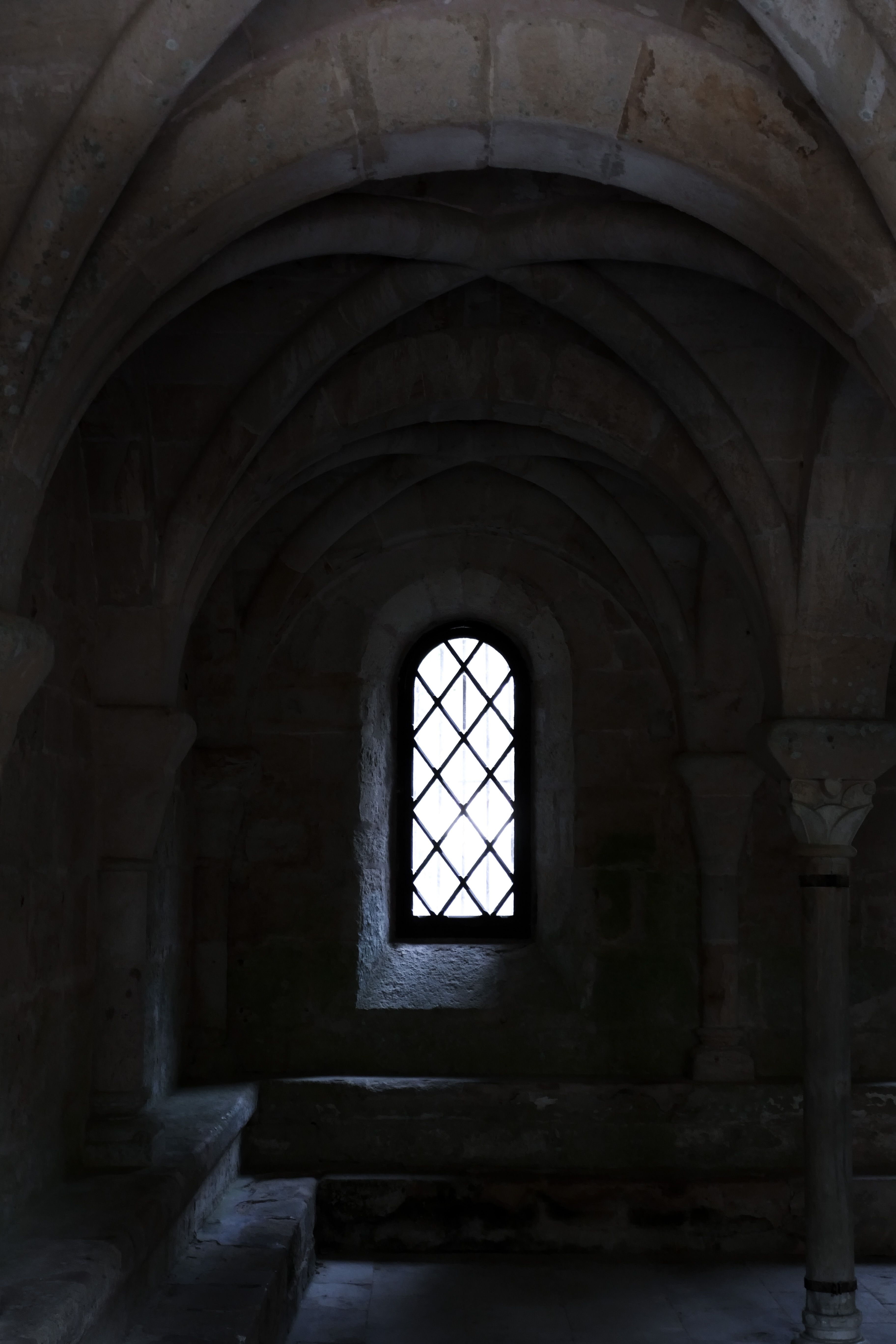 Foto de stock gratuita sobre arcos, arquitectura gótica, iglesia, techo ...