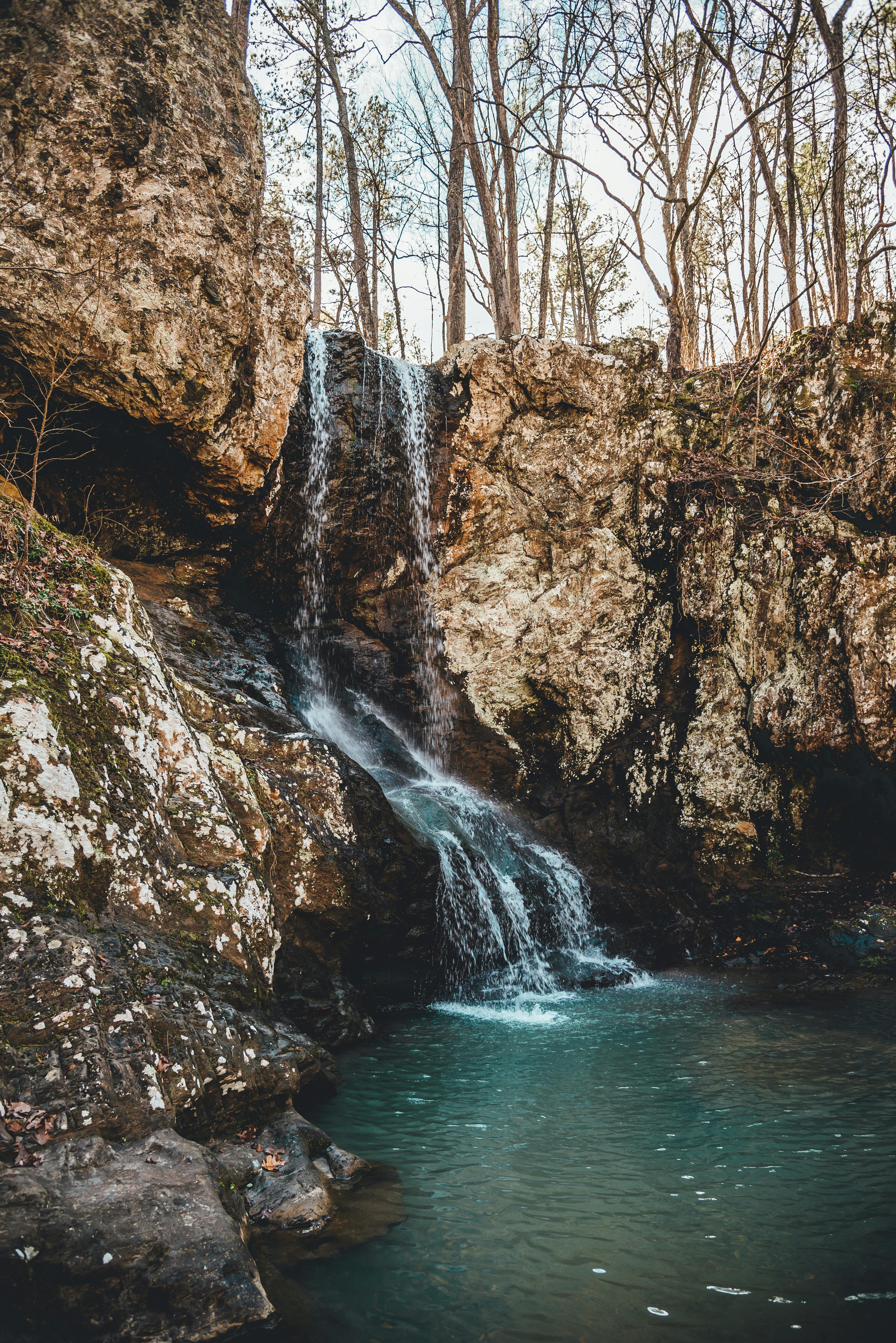Trees above a Waterfall · Free Stock Photo