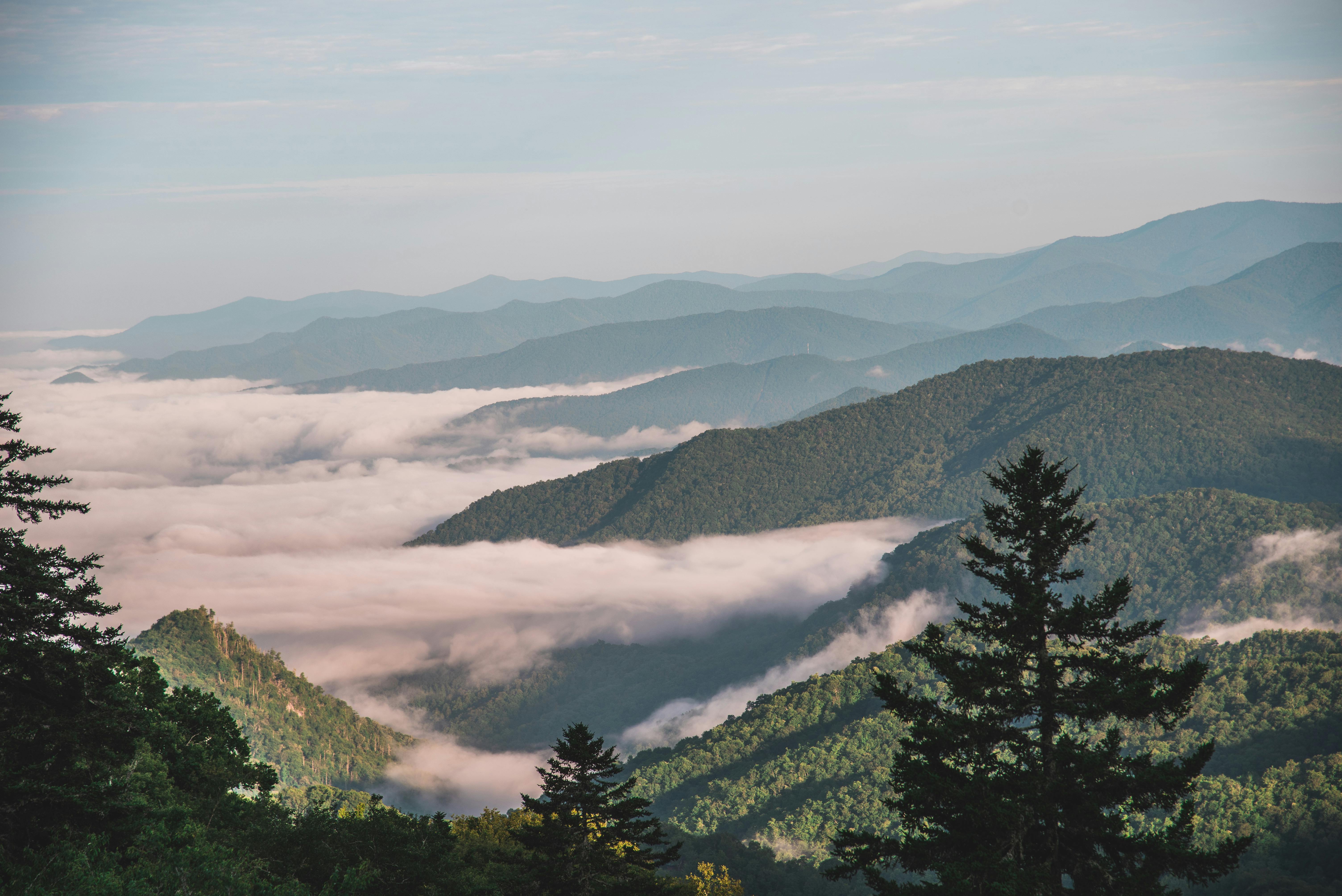Green Trees on Mountain Covered with White Clouds · Free Stock Photo