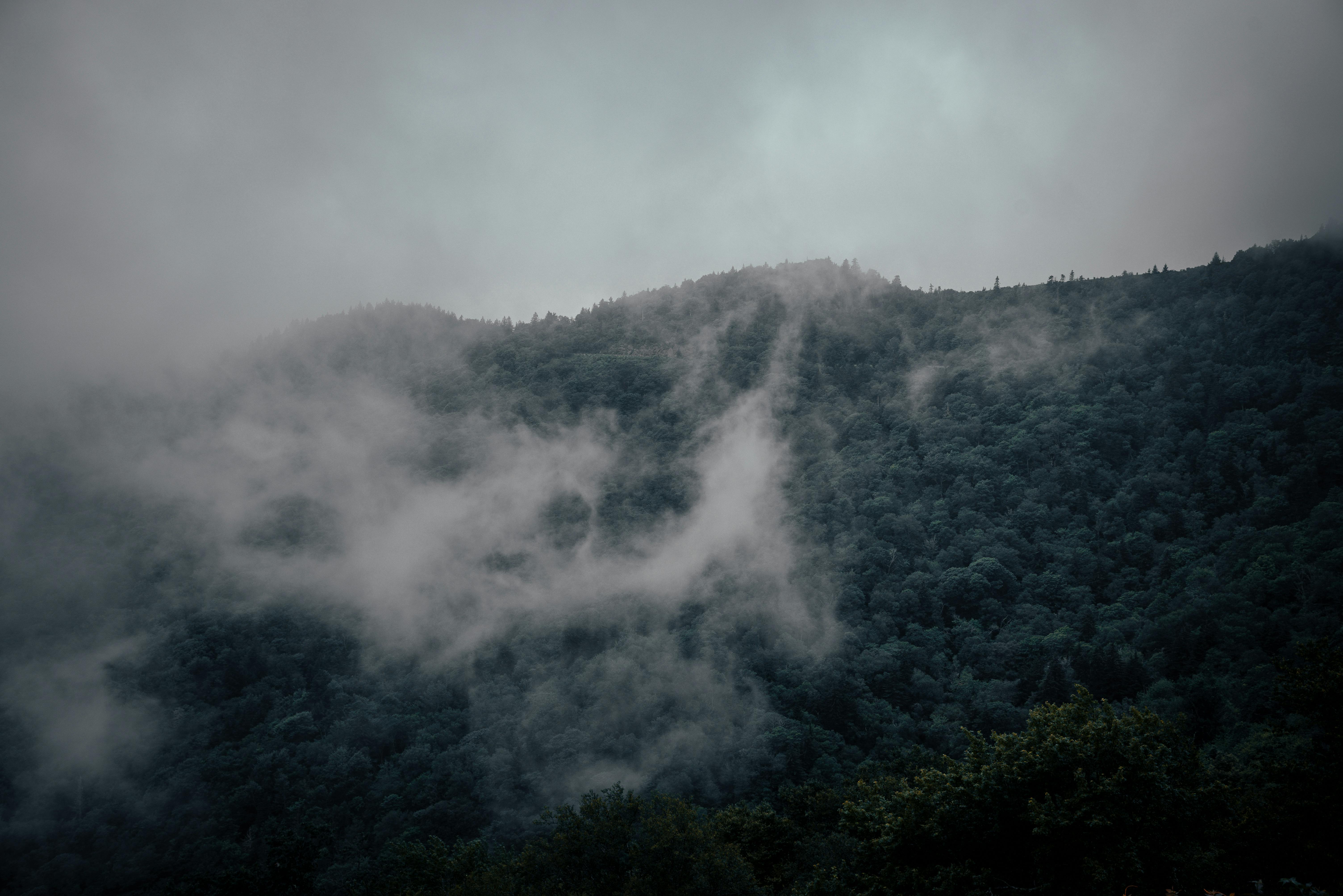 Trees and Mountains Under Gray Sky · Free Stock Photo