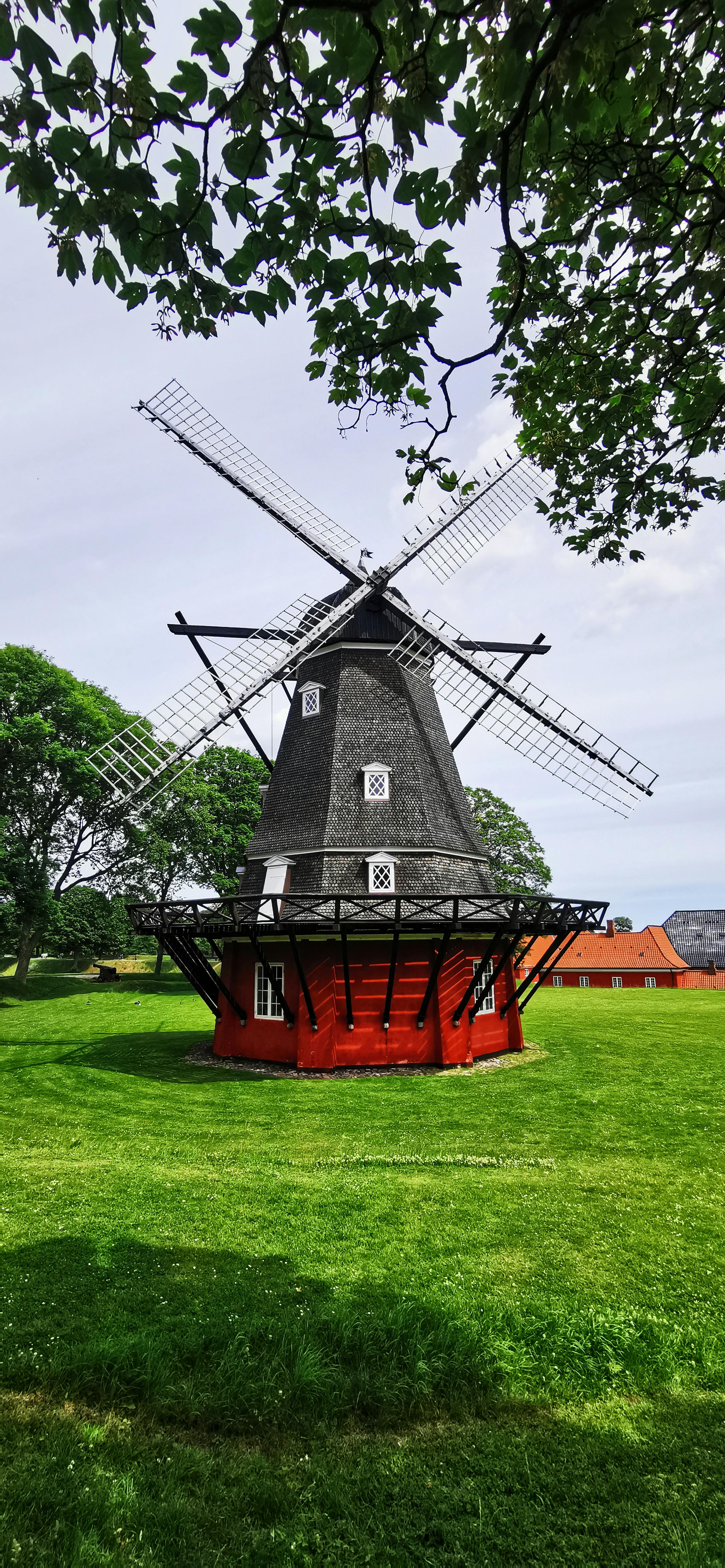 Black and Red Windmill on Green Grass Field · Free Stock Photo