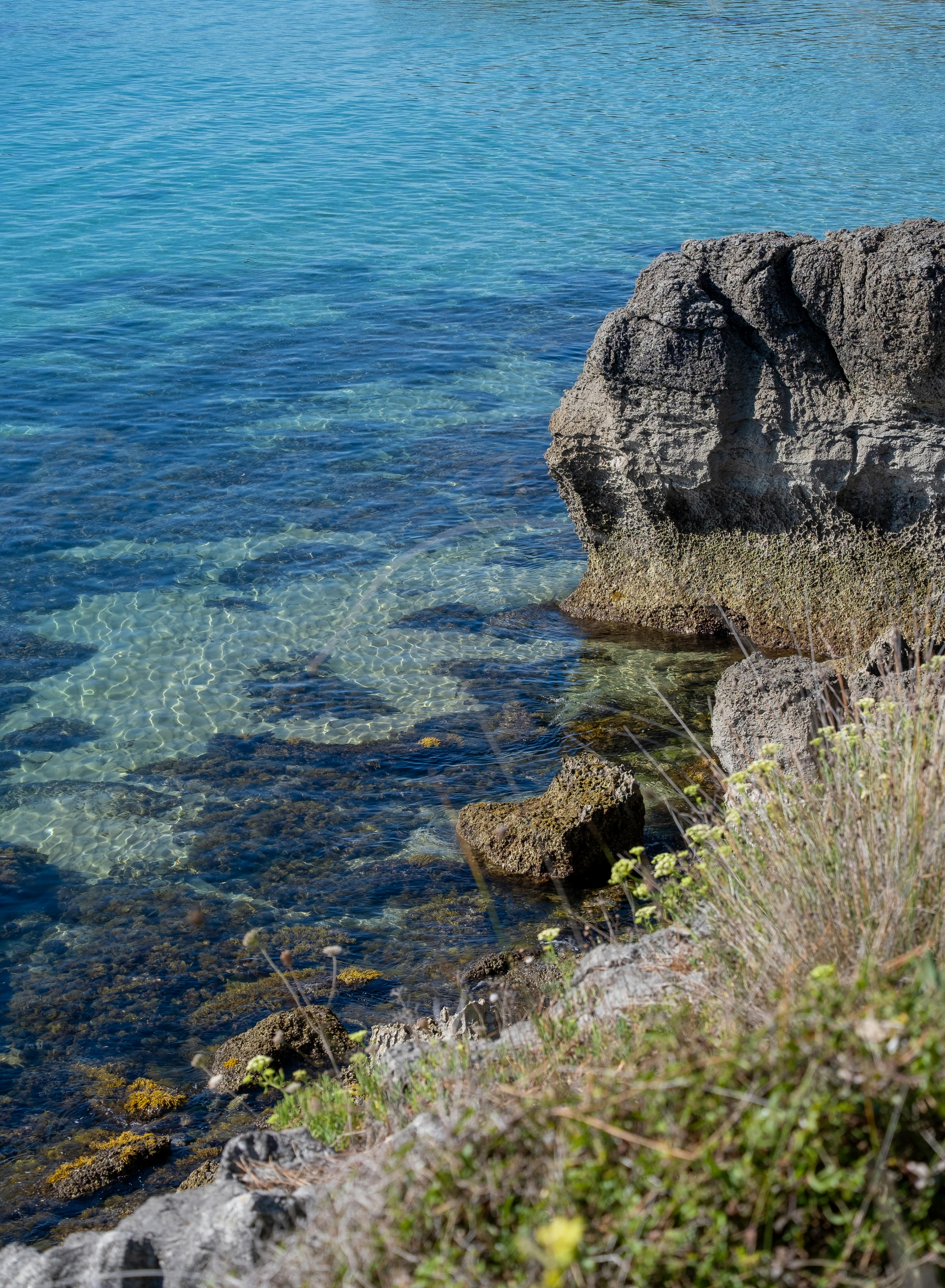 A Cliff Near the Sea · Free Stock Photo