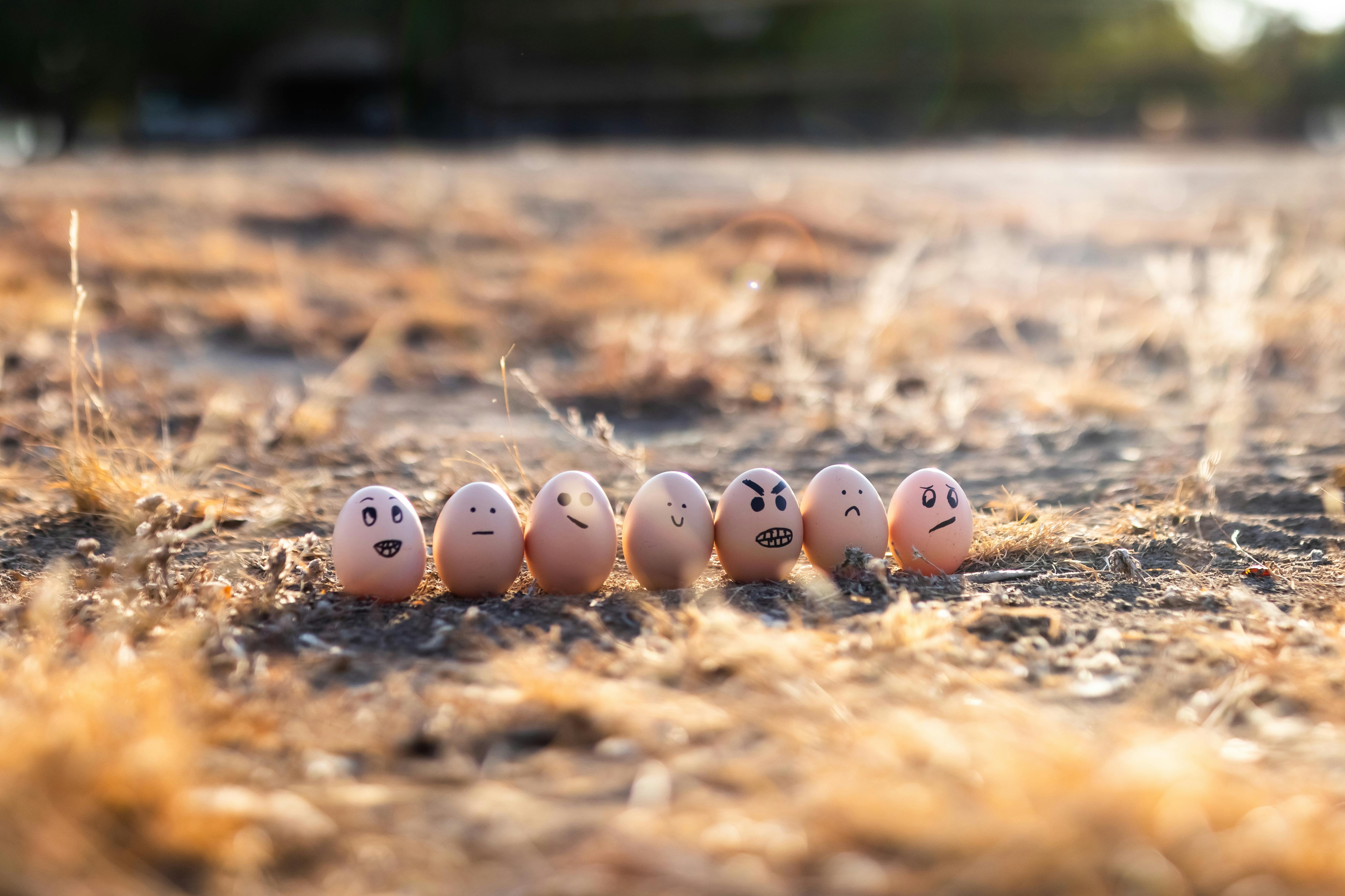A Family of Eggs With Hand-Drawn Faces · Free Stock Photo