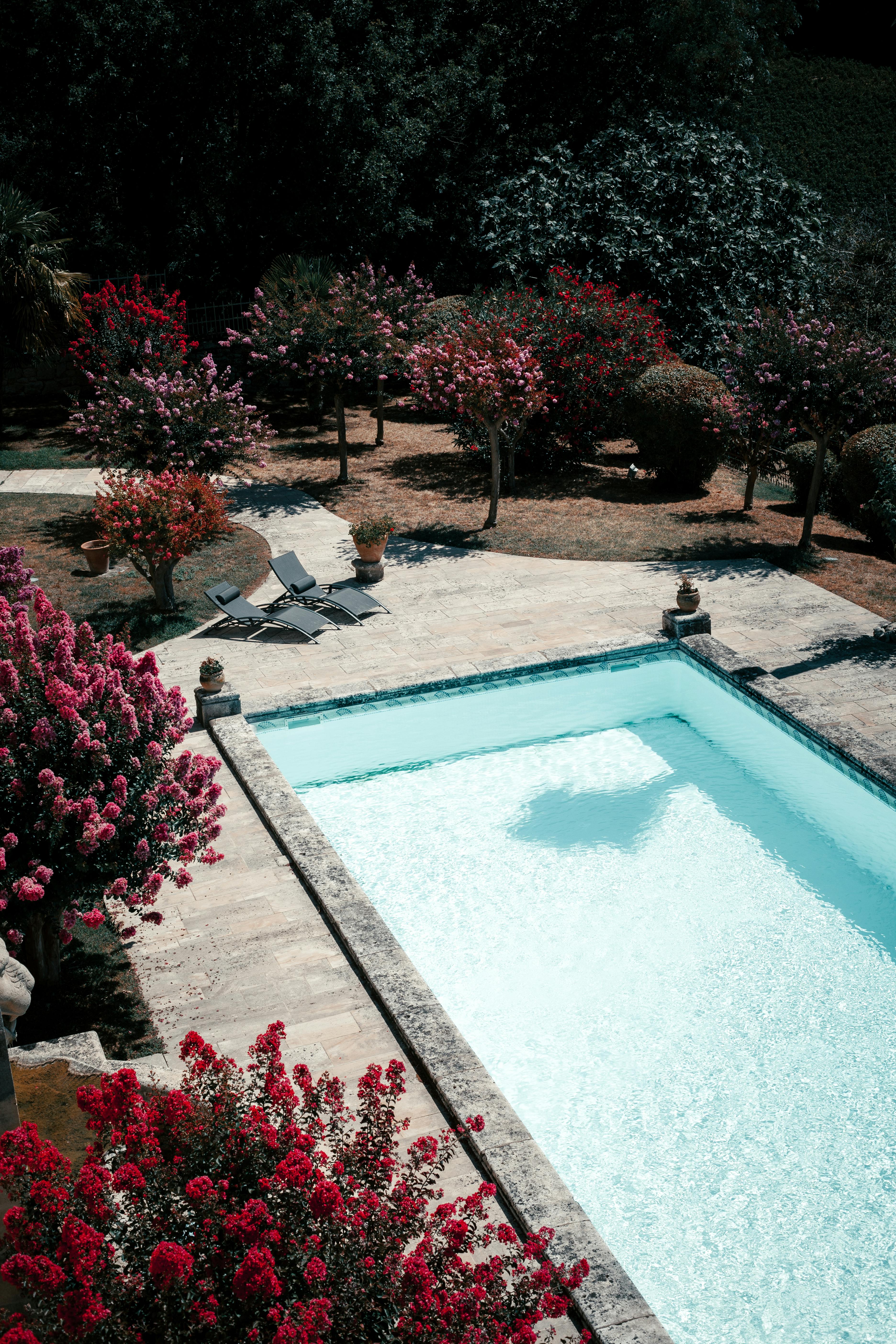 Sunlit Swimming Pool in Garden · Free Stock Photo