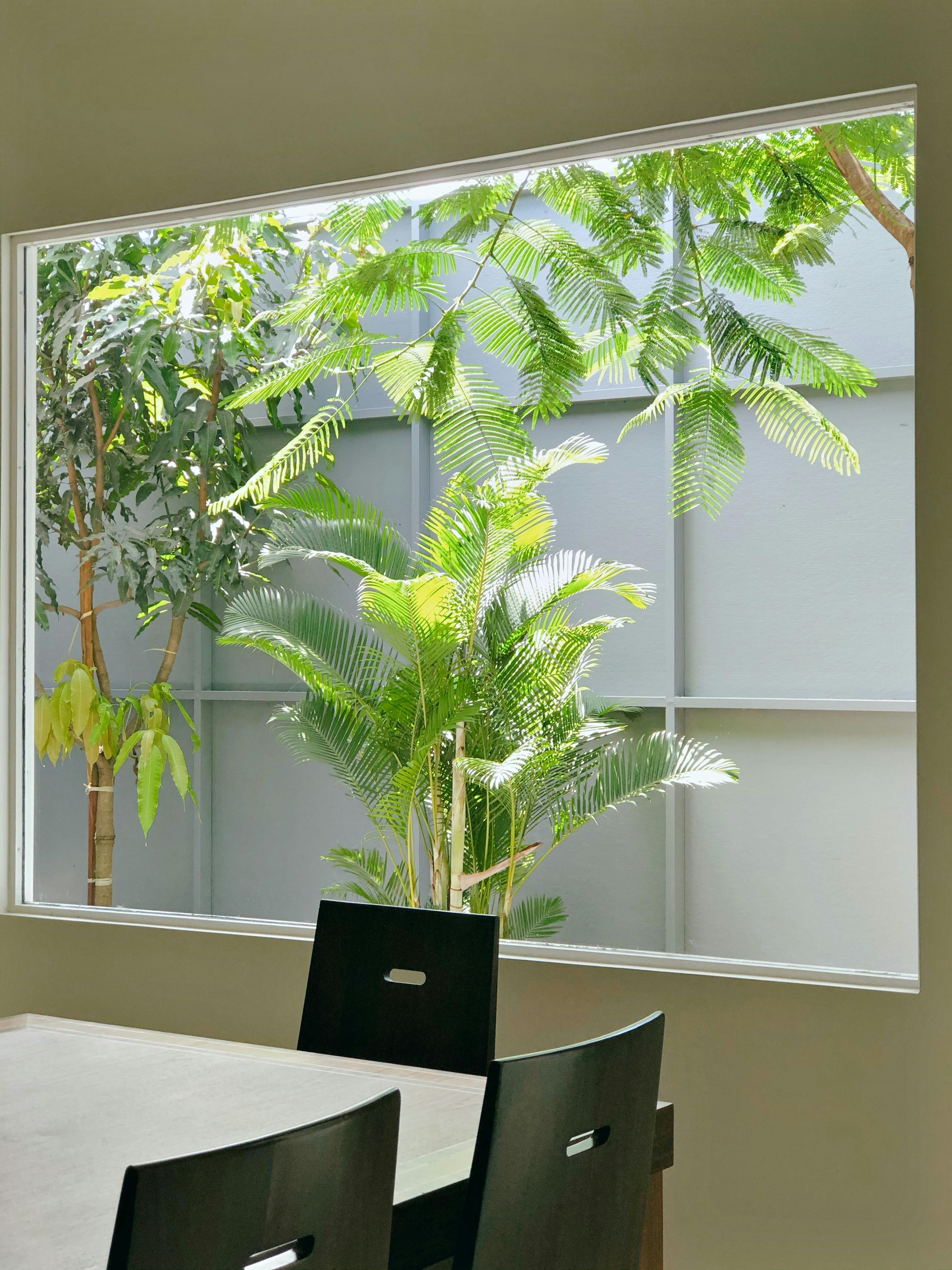 Green Trees Seen Through a Large Window in a Dining Room · Free Stock Photo