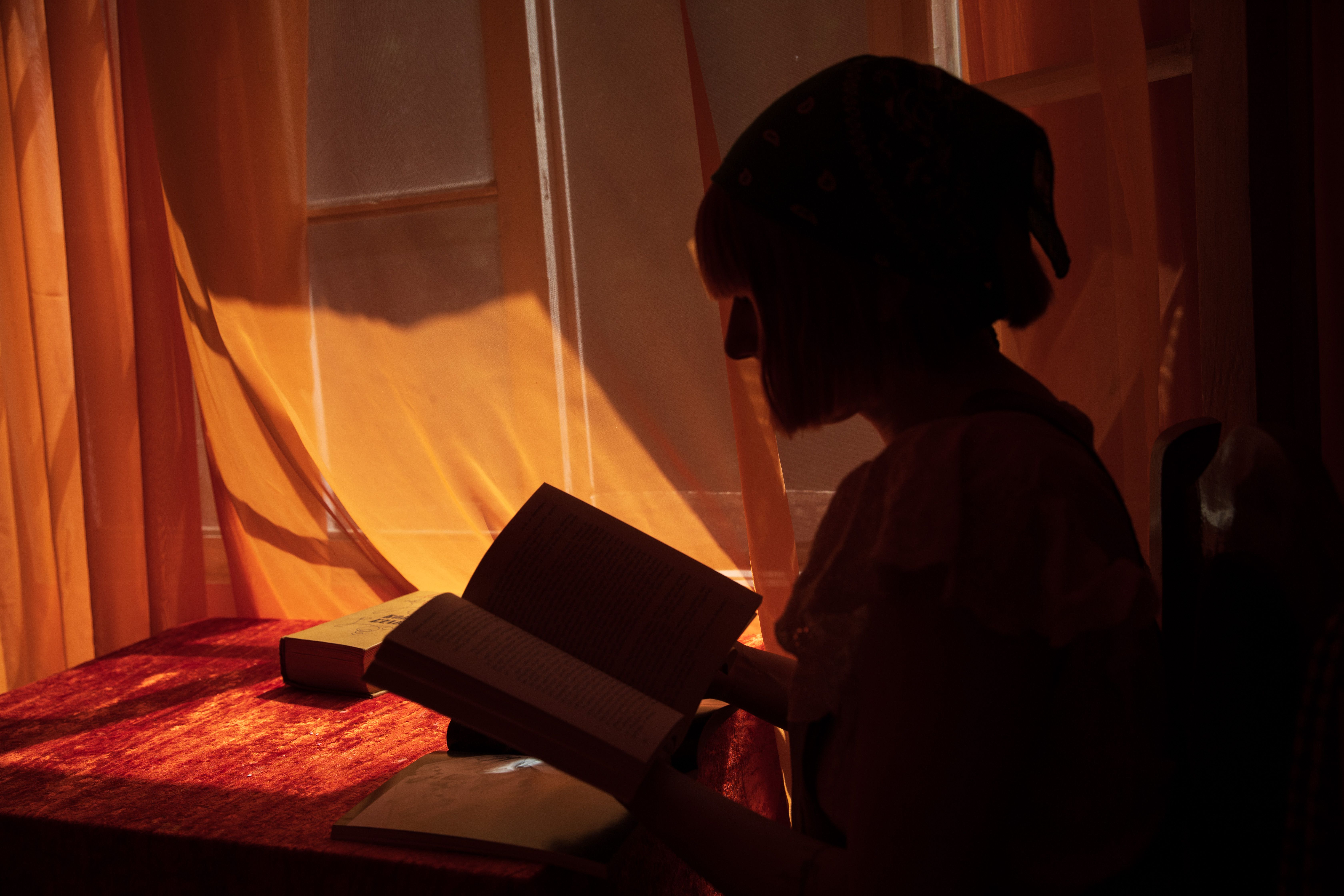 Silhouette of Person Reading a Book · Free Stock Photo