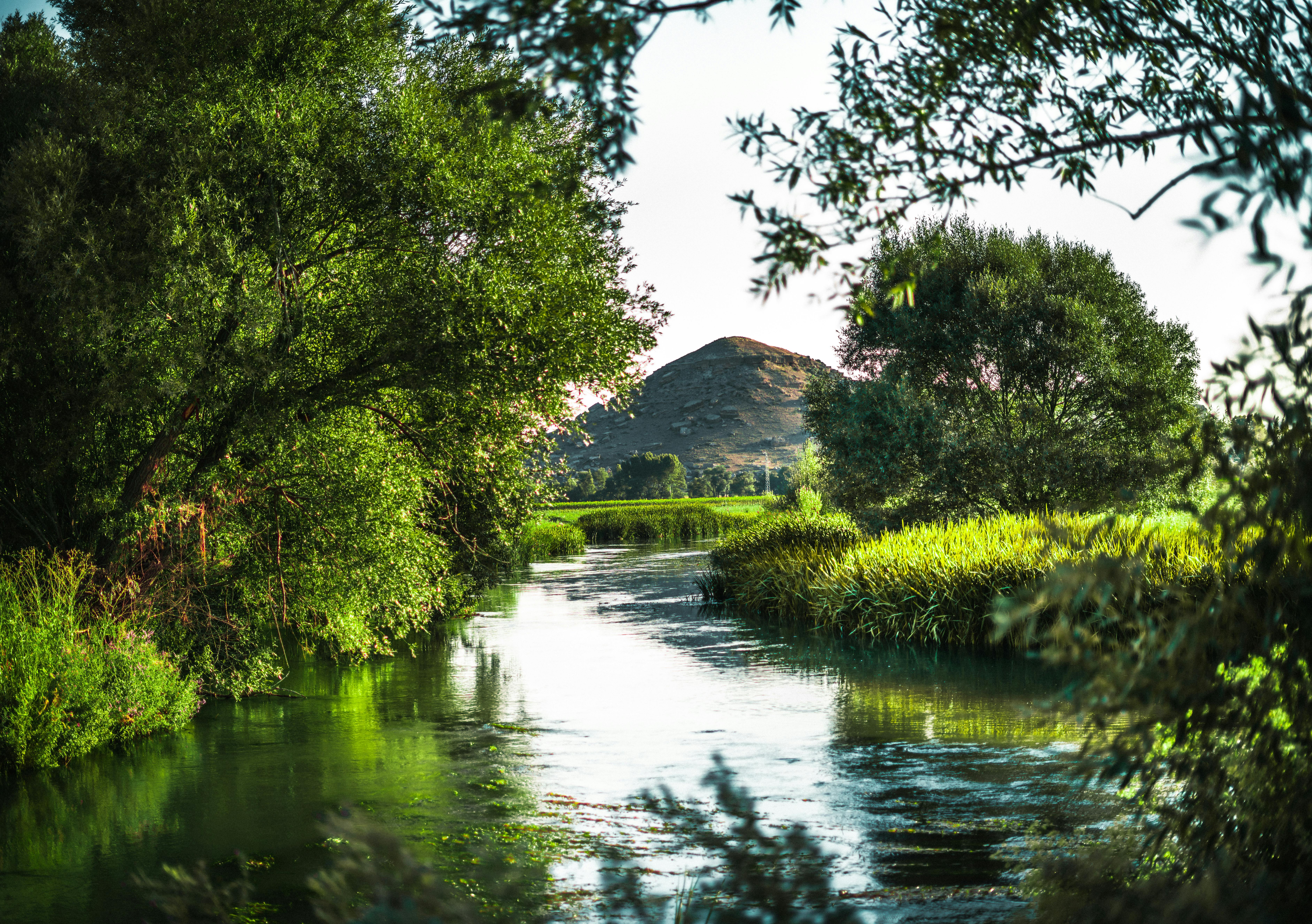 River near a Hill · Free Stock Photo