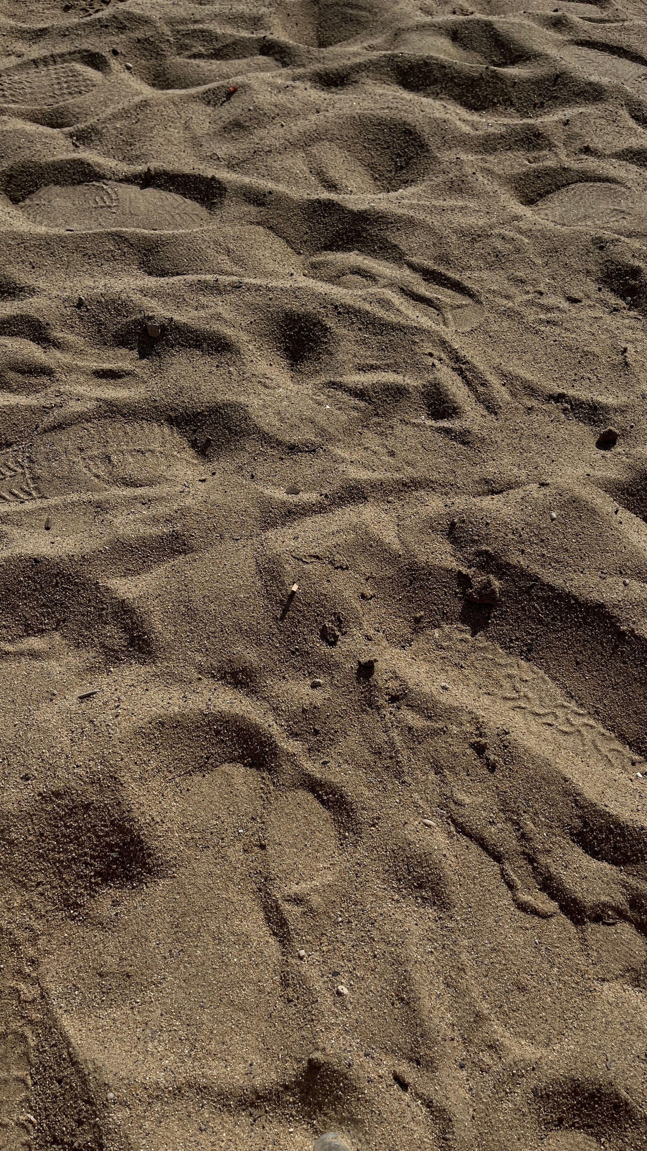 Footprints on Sand · Free Stock Photo