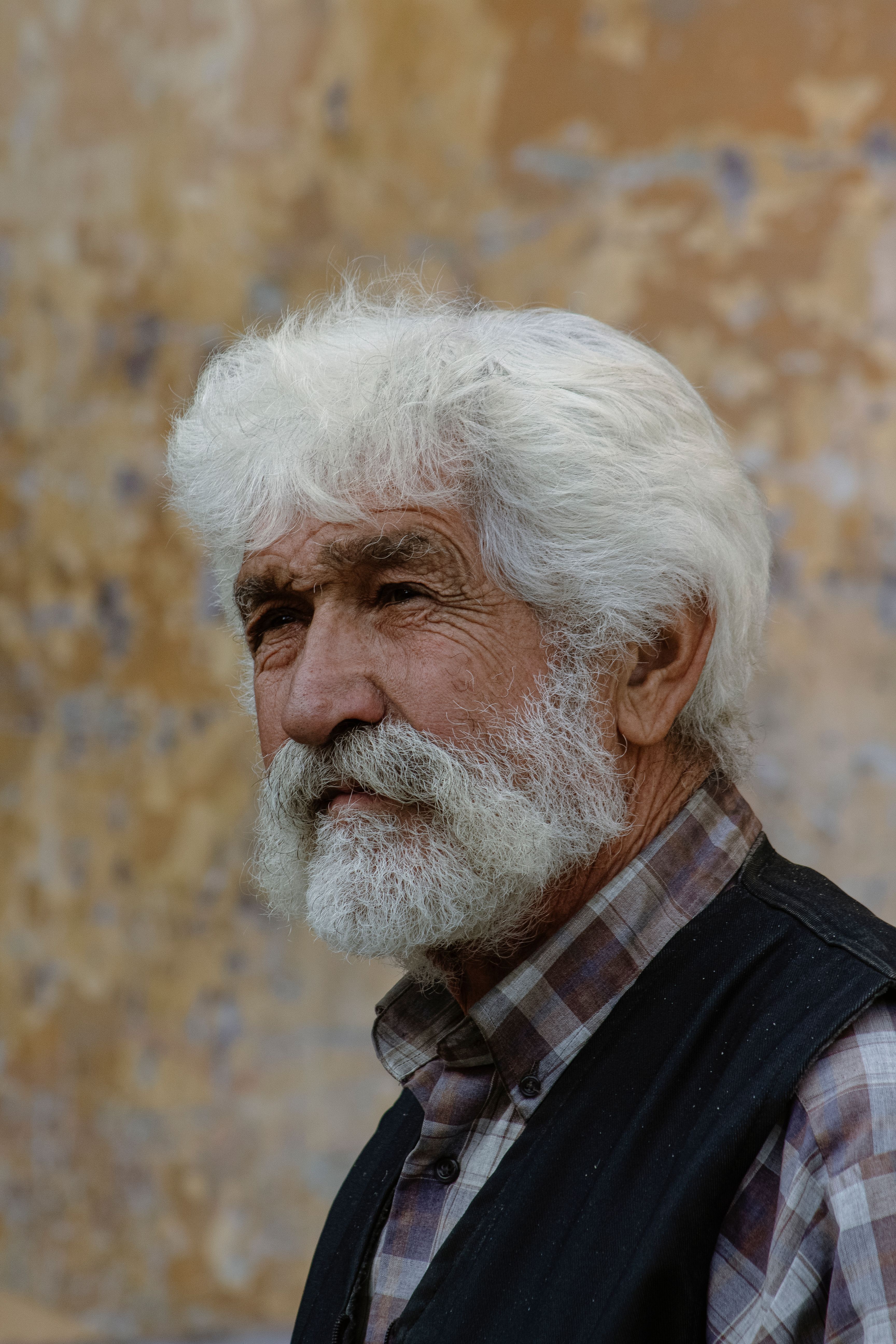 Face of Man with Gray Hair · Free Stock Photo