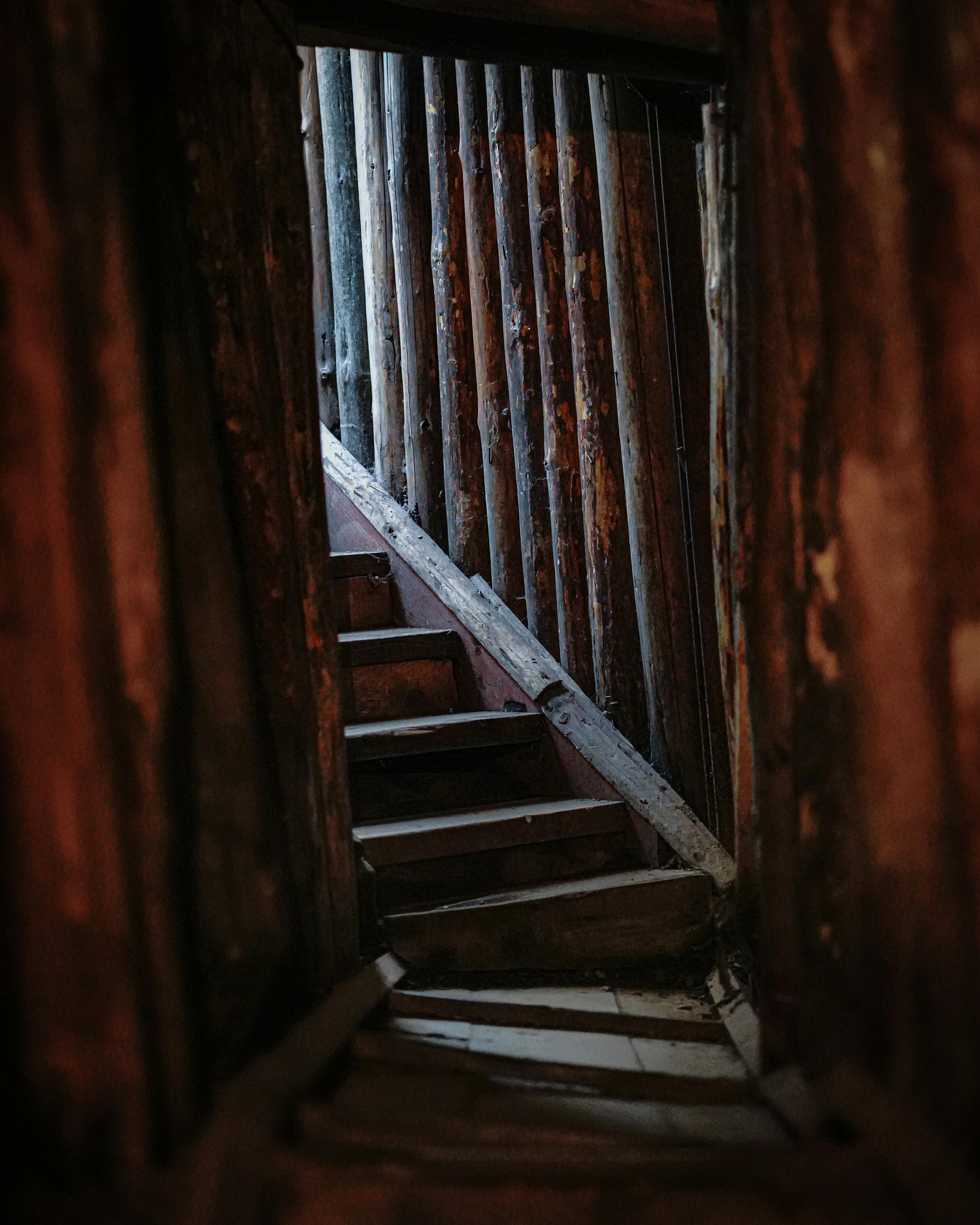 Bunker Photos, Download The BEST Free Bunker Stock Photos & HD Images