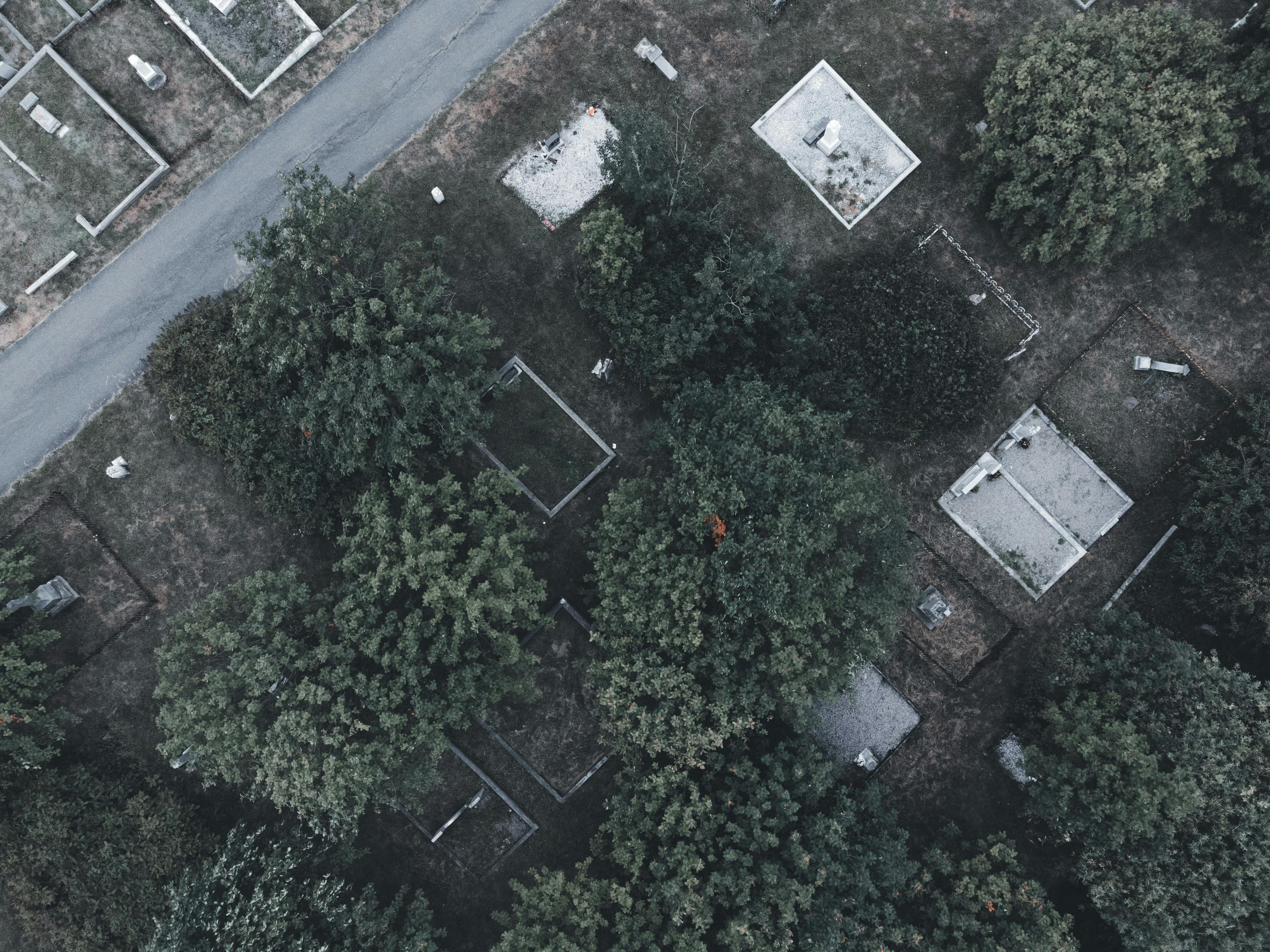 Drone Shot of Trees on a Cemetery · Free Stock Photo