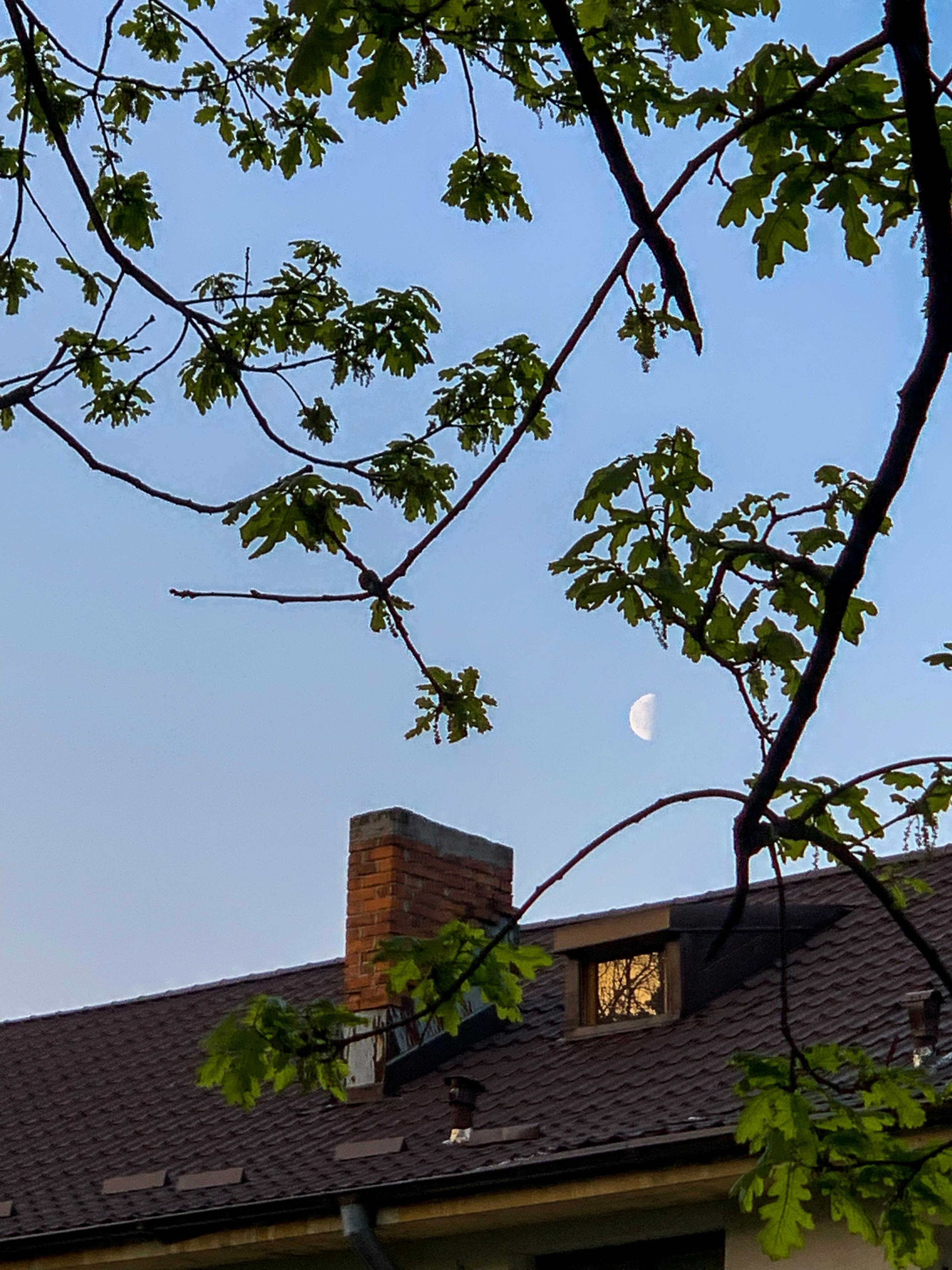 Roof Moon Photos, Download The BEST Free Roof Moon Stock Photos & HD Images