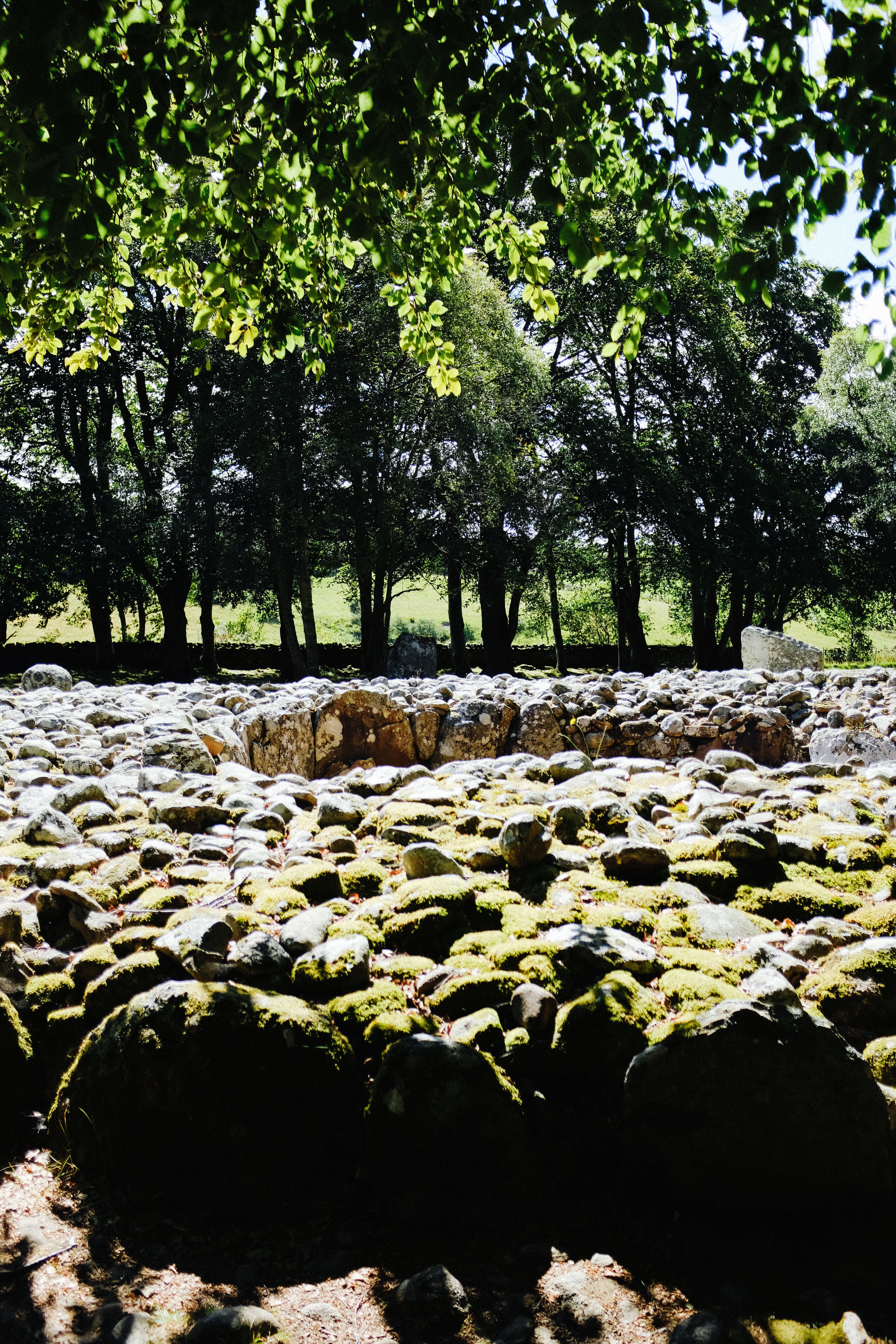 Mossy Bedrocks Photo · Free Stock Photo