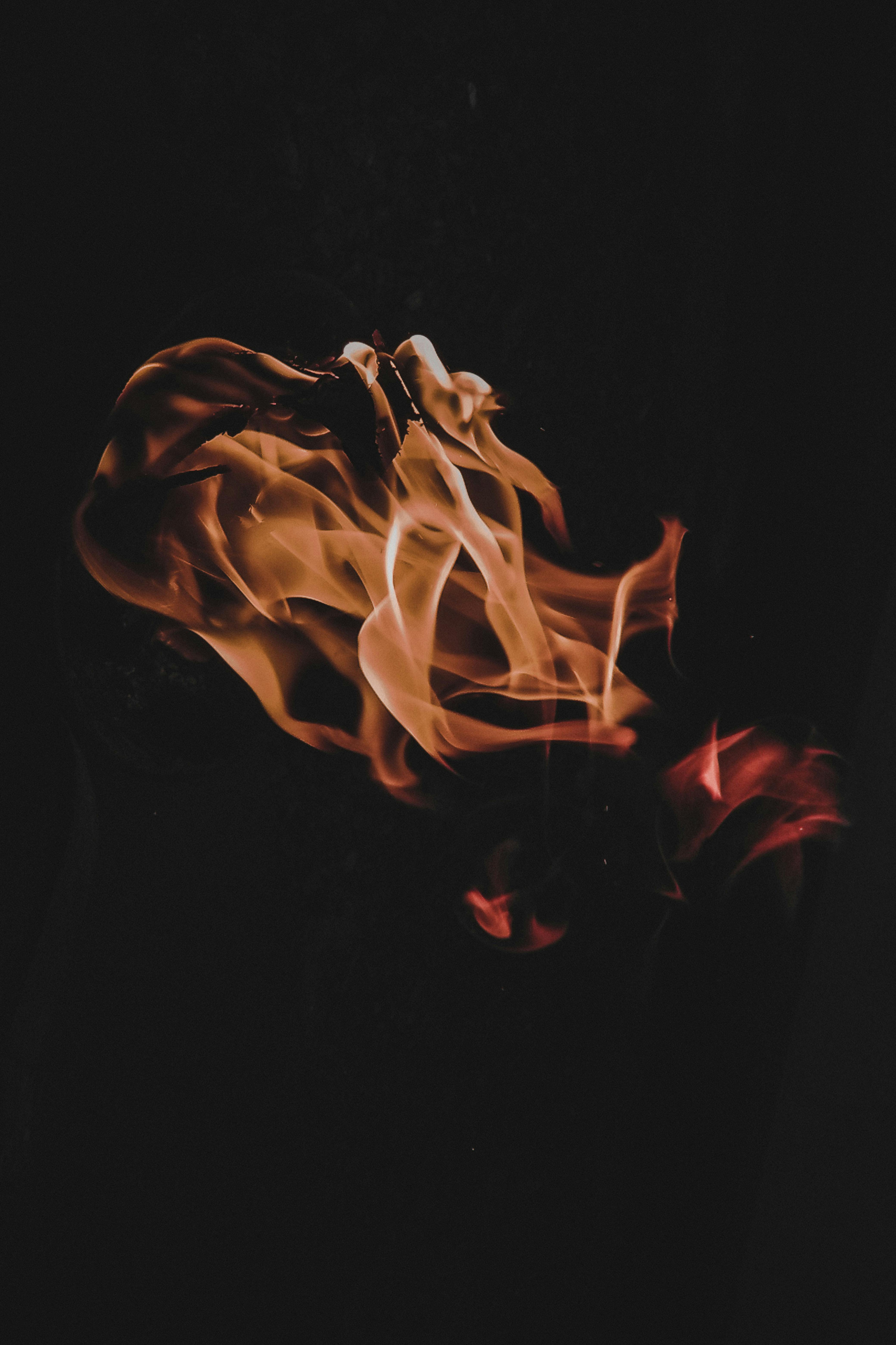 Blazing Fire on a Black Background · Free Stock Photo