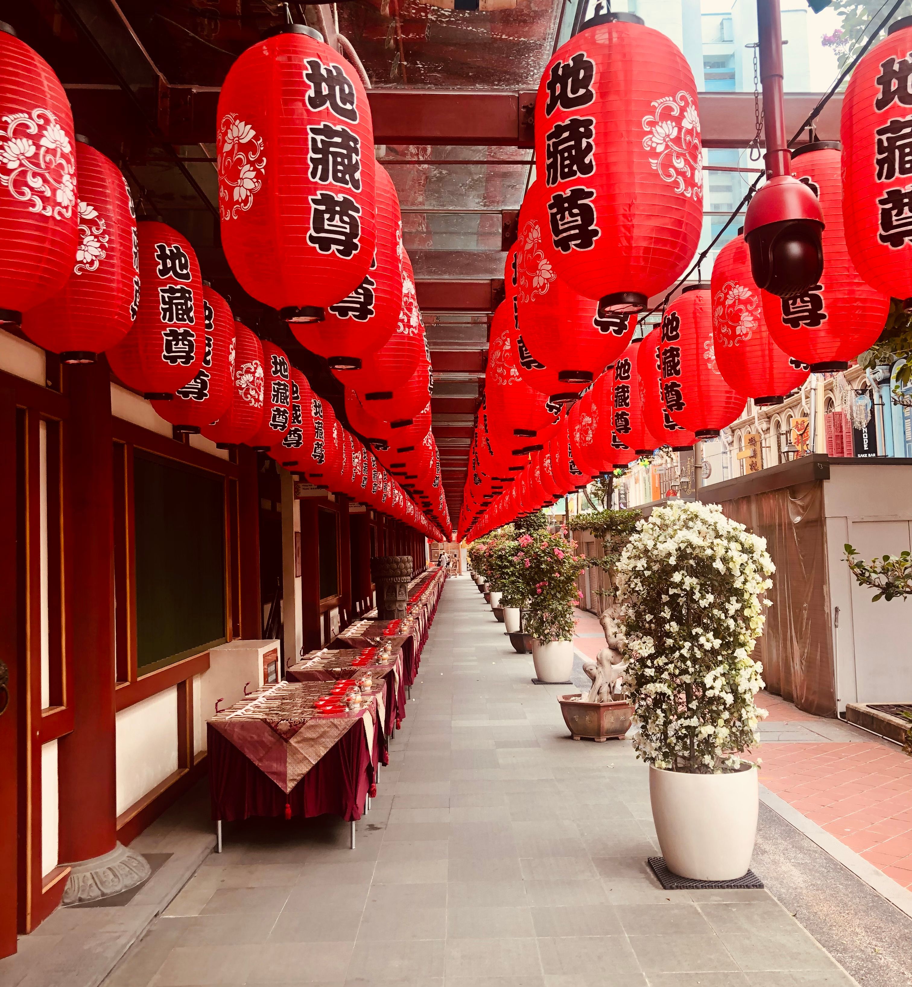 Red Lanterns on the Hallway · Free Stock Photo