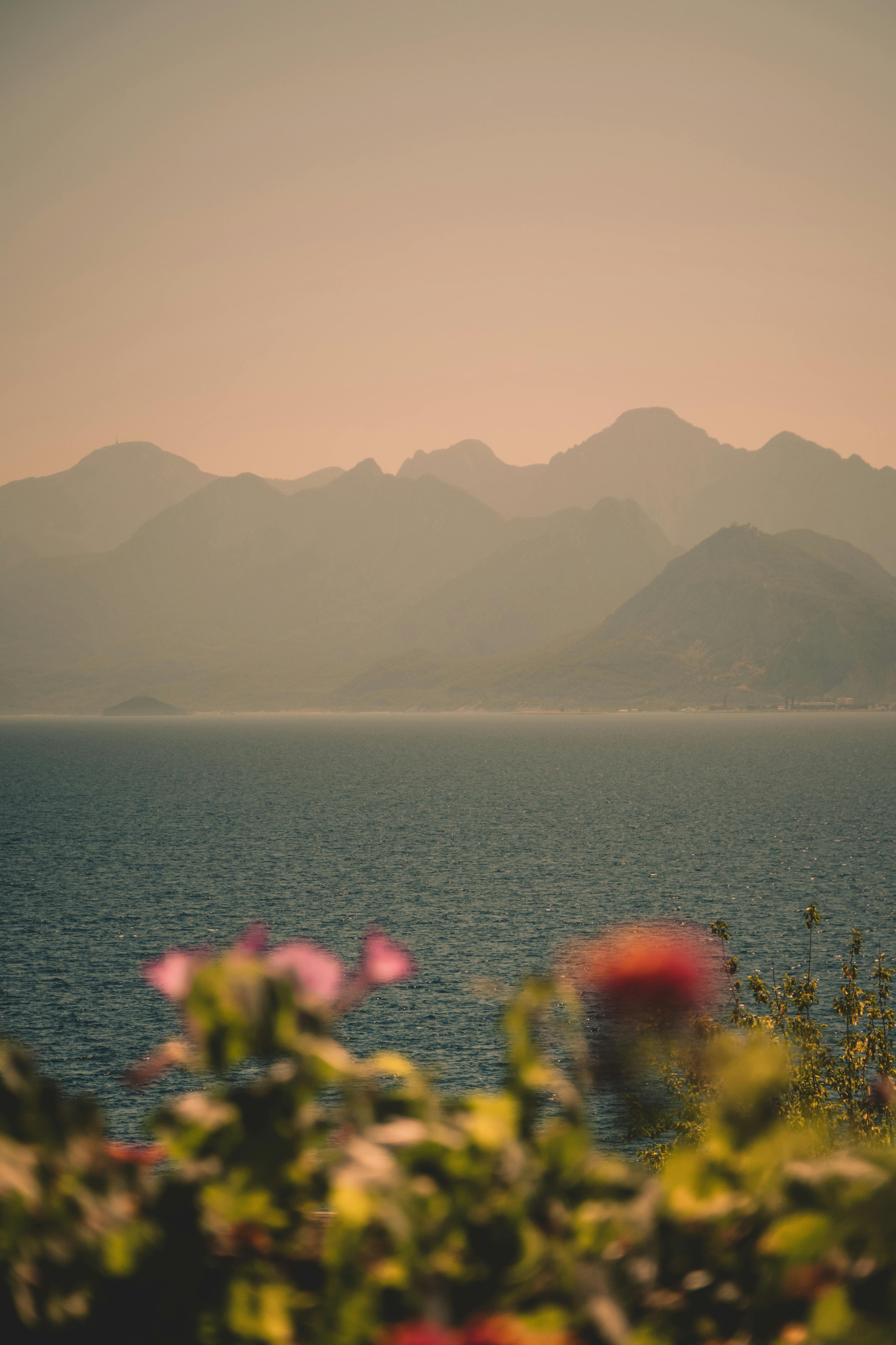 Mountains Near the Sea · Free Stock Photo