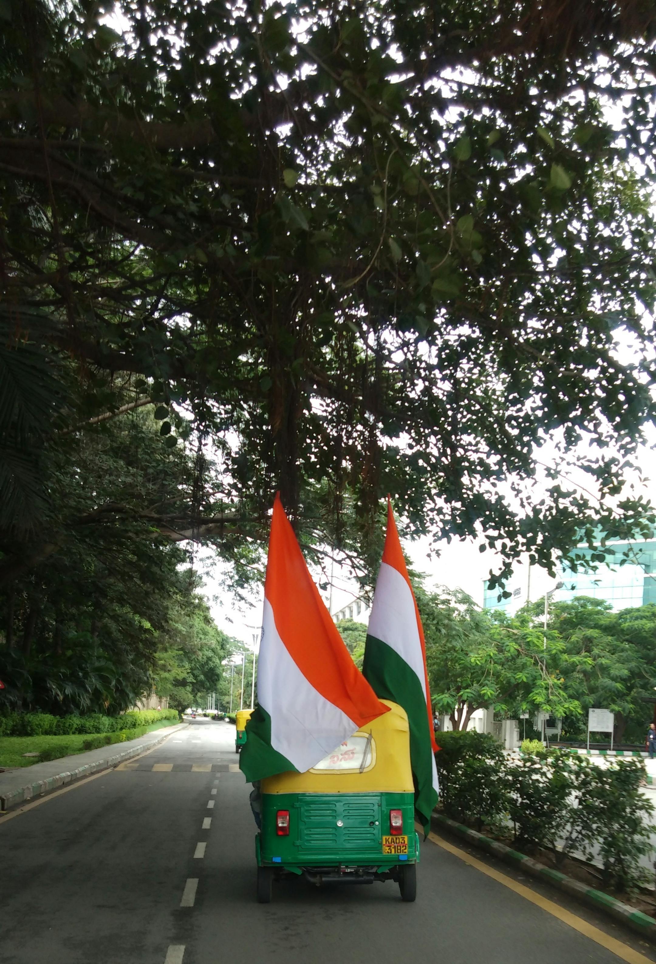 Free stock photo of india, tiranga