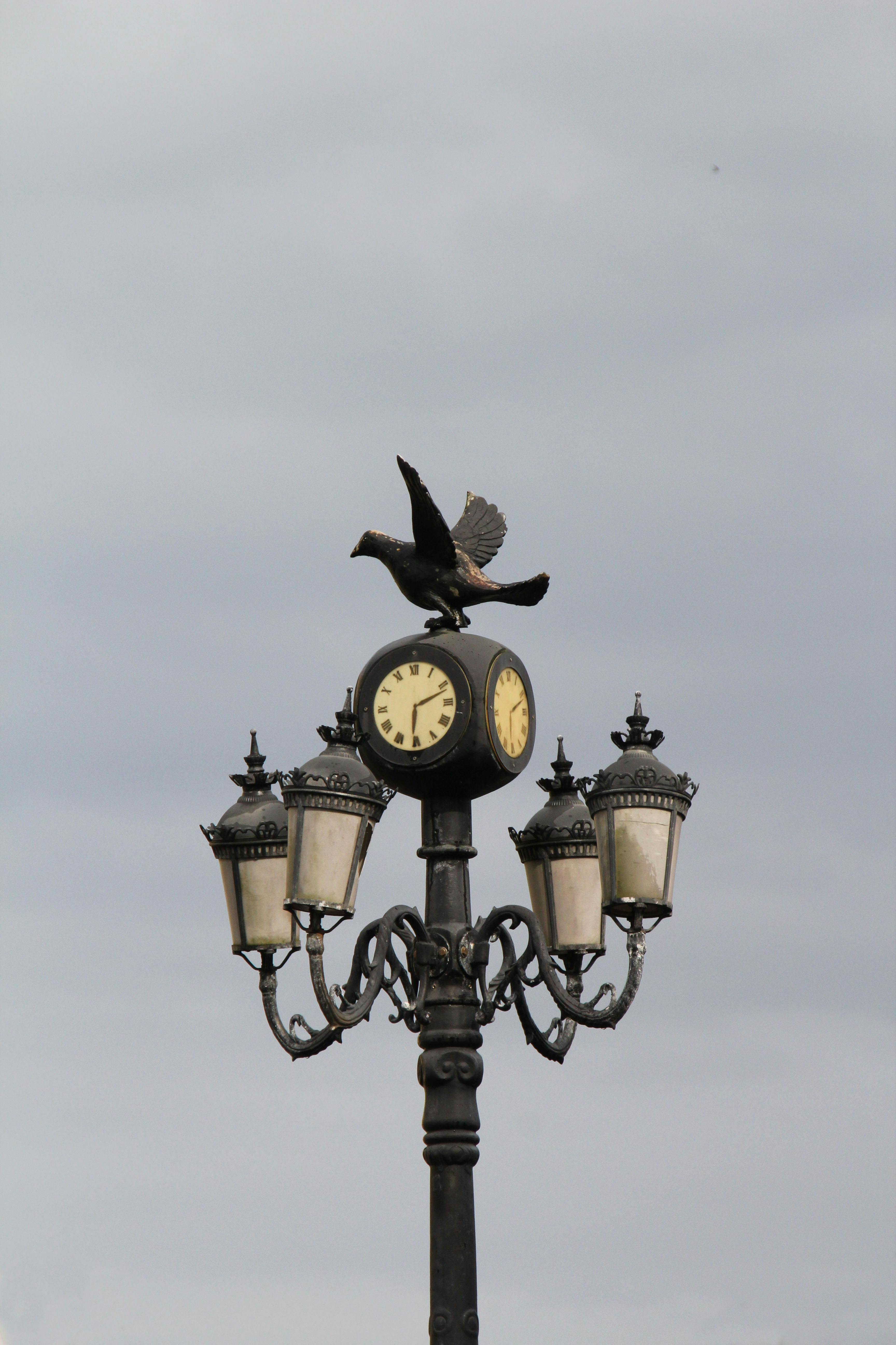 Clock on Lamp Post on the Street · Free Stock Photo