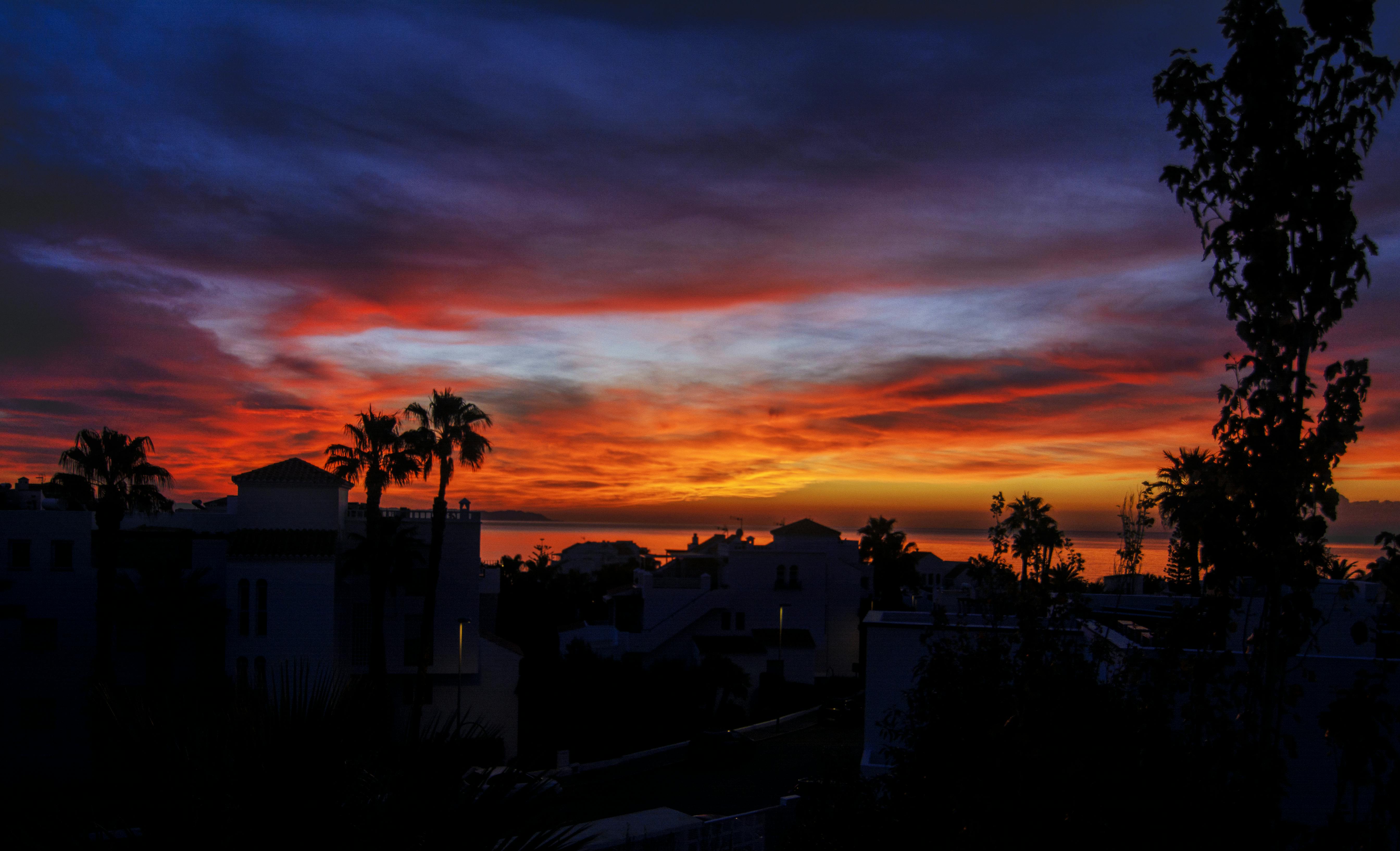 Silhouette of Trees During Sunset · Free Stock Photo