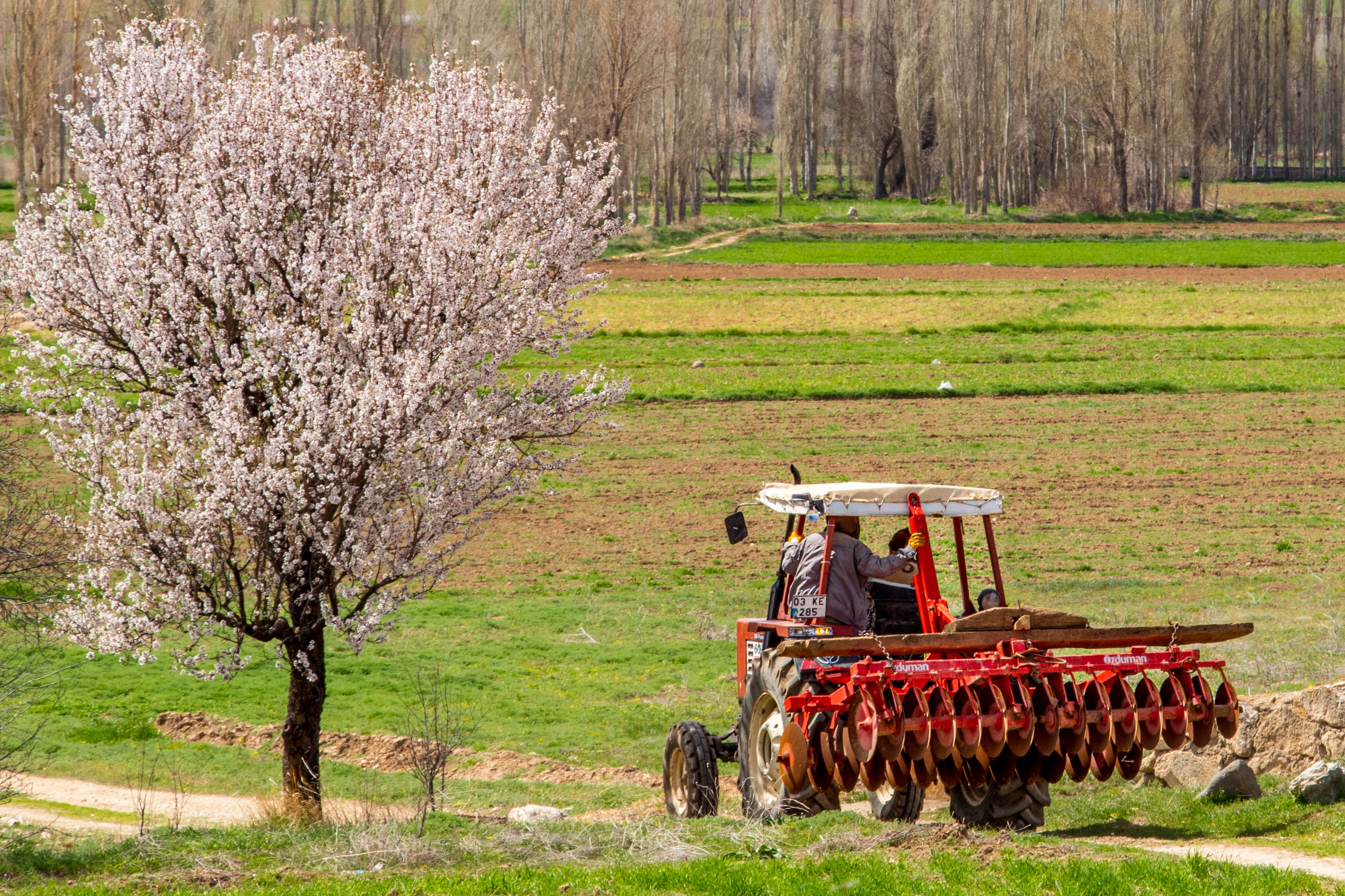 Red Tractor on the Grass Field · Free Stock Photo