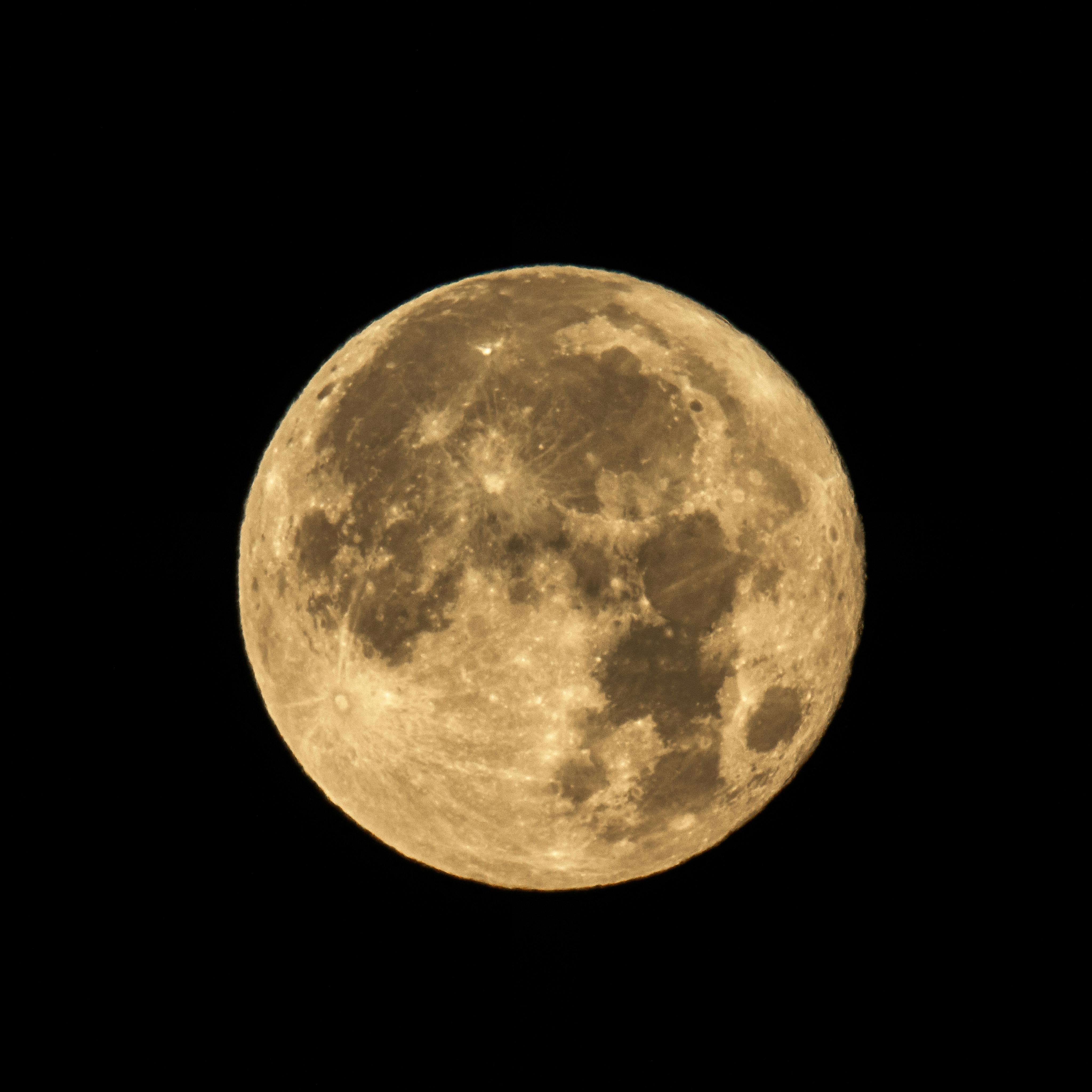 Foto de stock gratuita sobre de cerca, fondo de pantalla 4k, formato ...