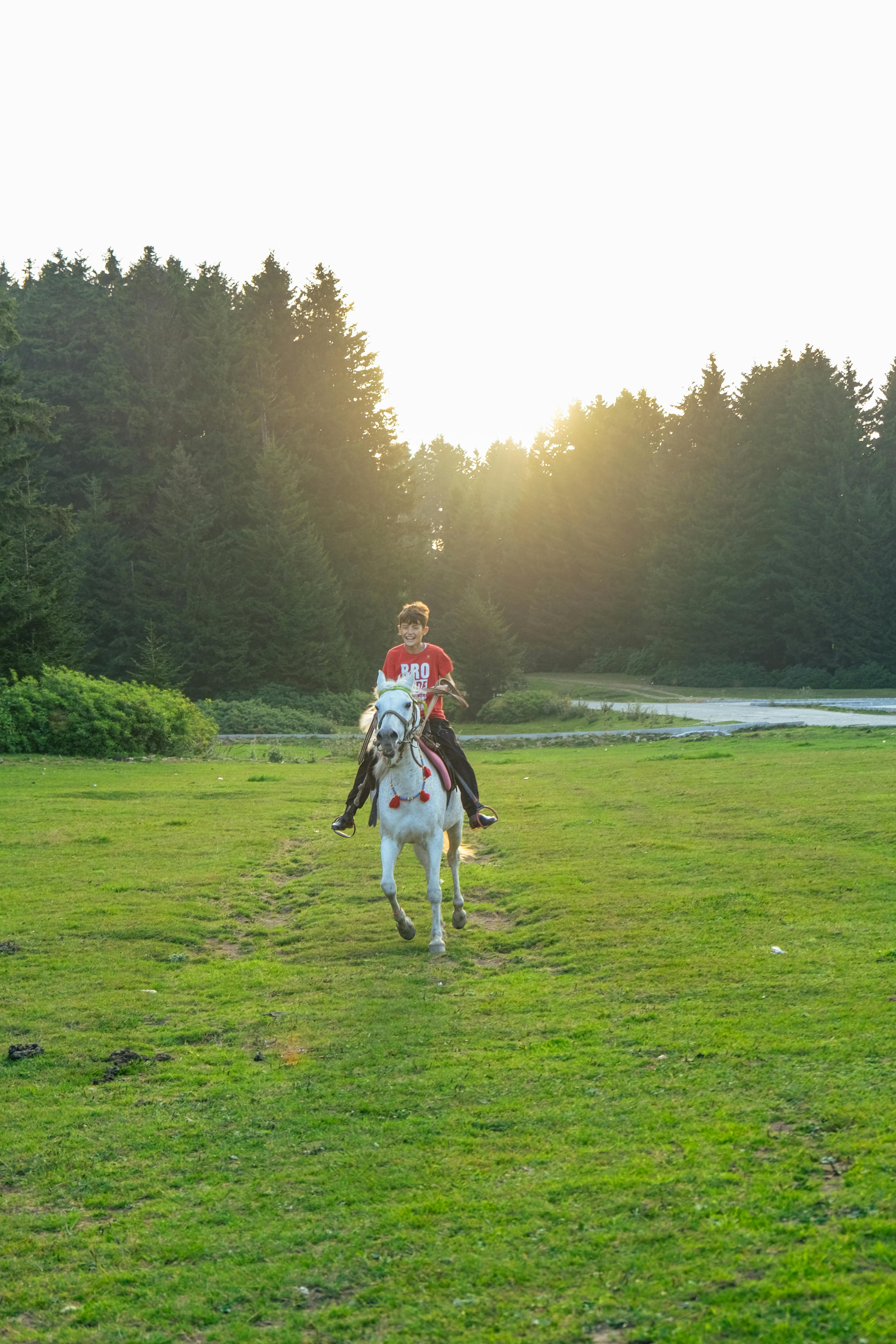 Kid Riding a White Horse · Free Stock Photo