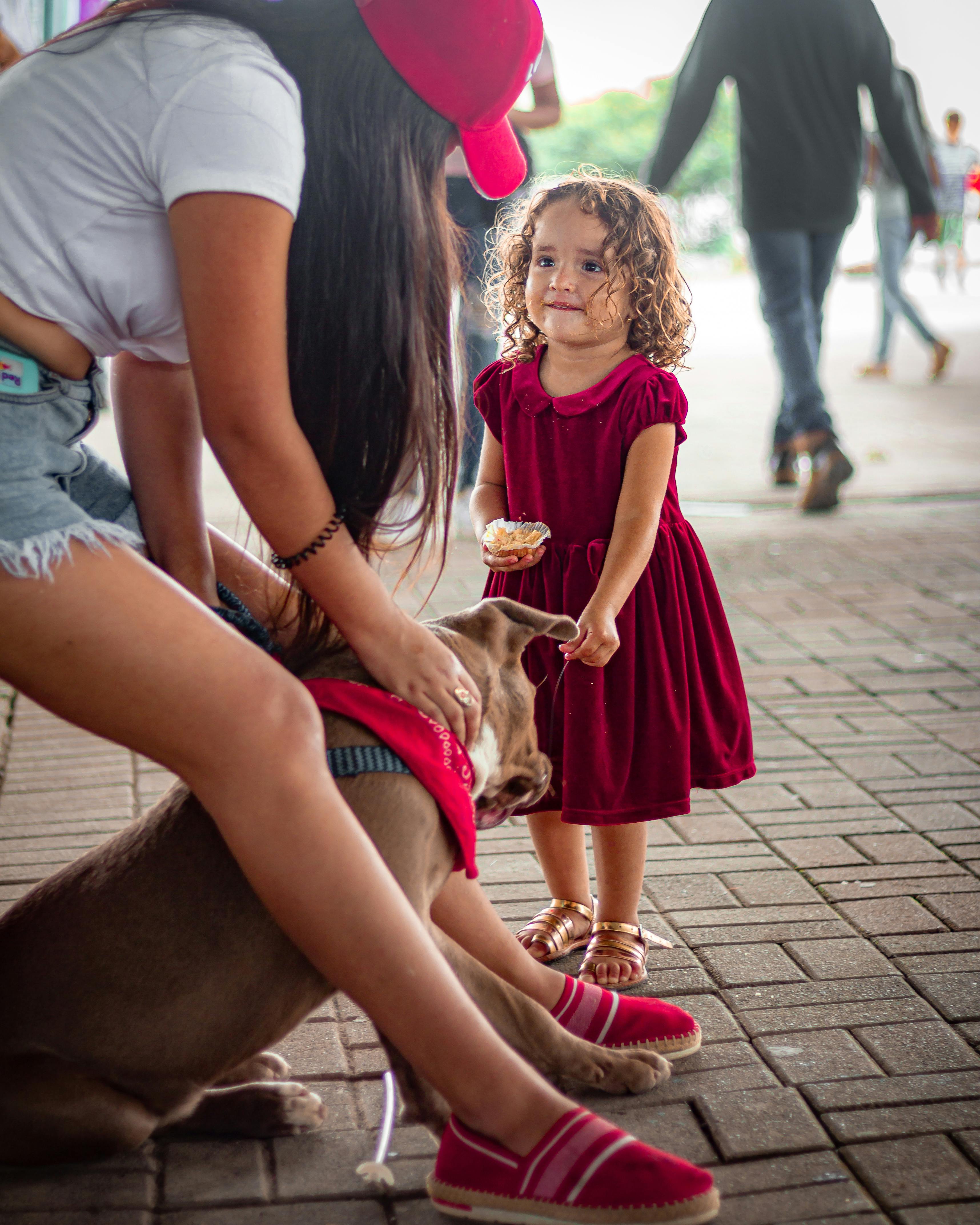A Girl Wearing Sweater Petting a Dog · Free Stock Photo