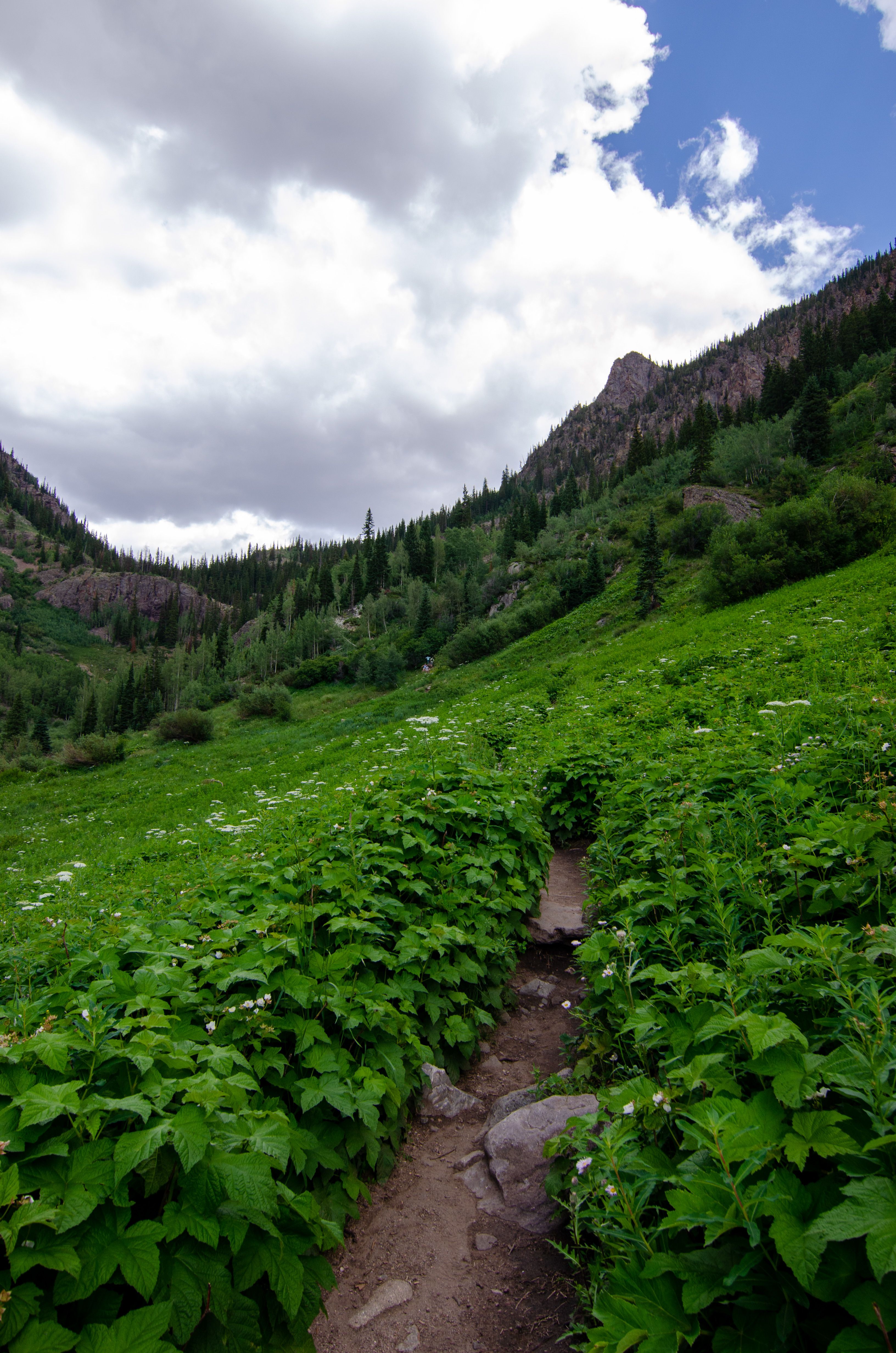 A Green Grass Field on a Mountain Under a Cloudy Blue Sky · Free Stock ...