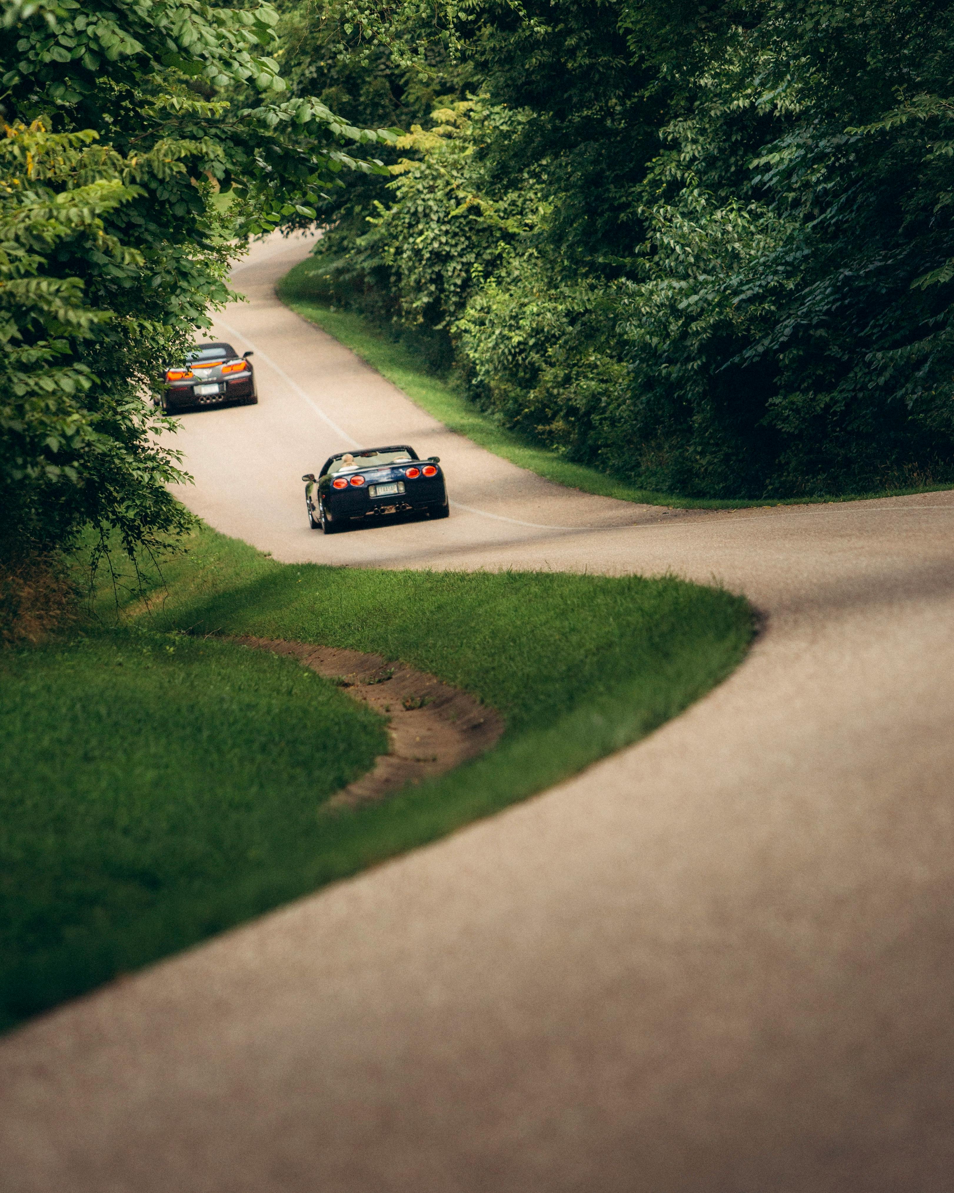Sportscars on the Road · Free Stock Photo