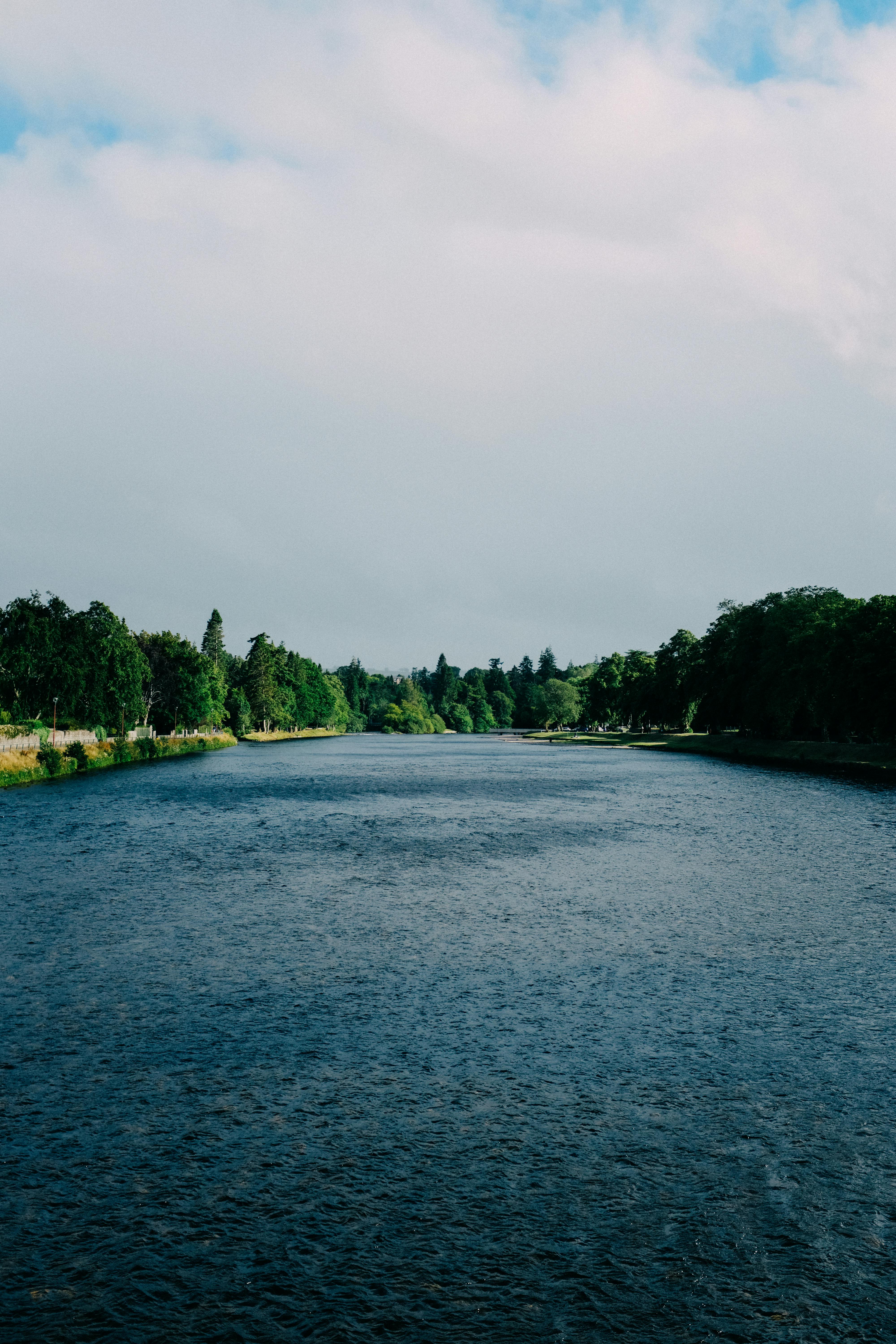 Wide River Between Trees · Free Stock Photo