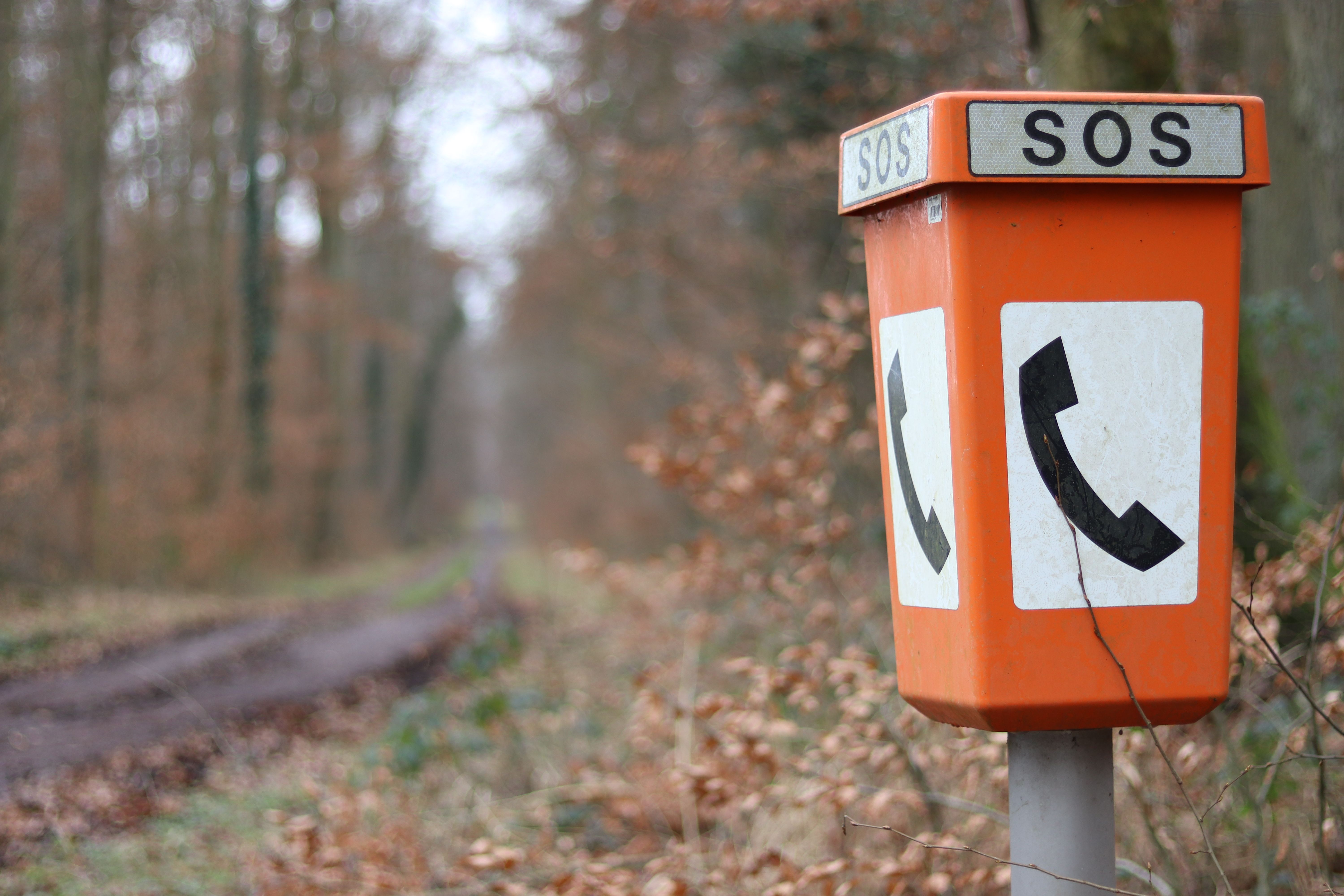 Free stock photo of cloudy, emergency phone, forest