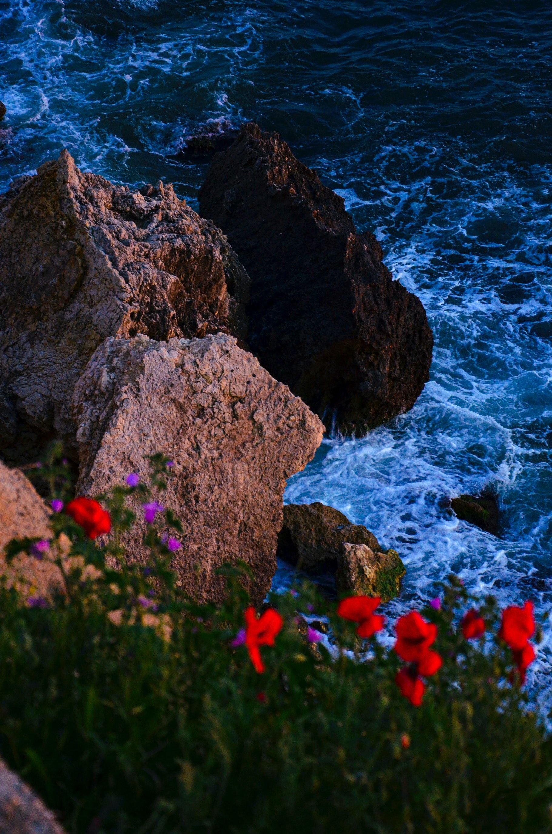 Photo of Sea Waves · Free Stock Photo