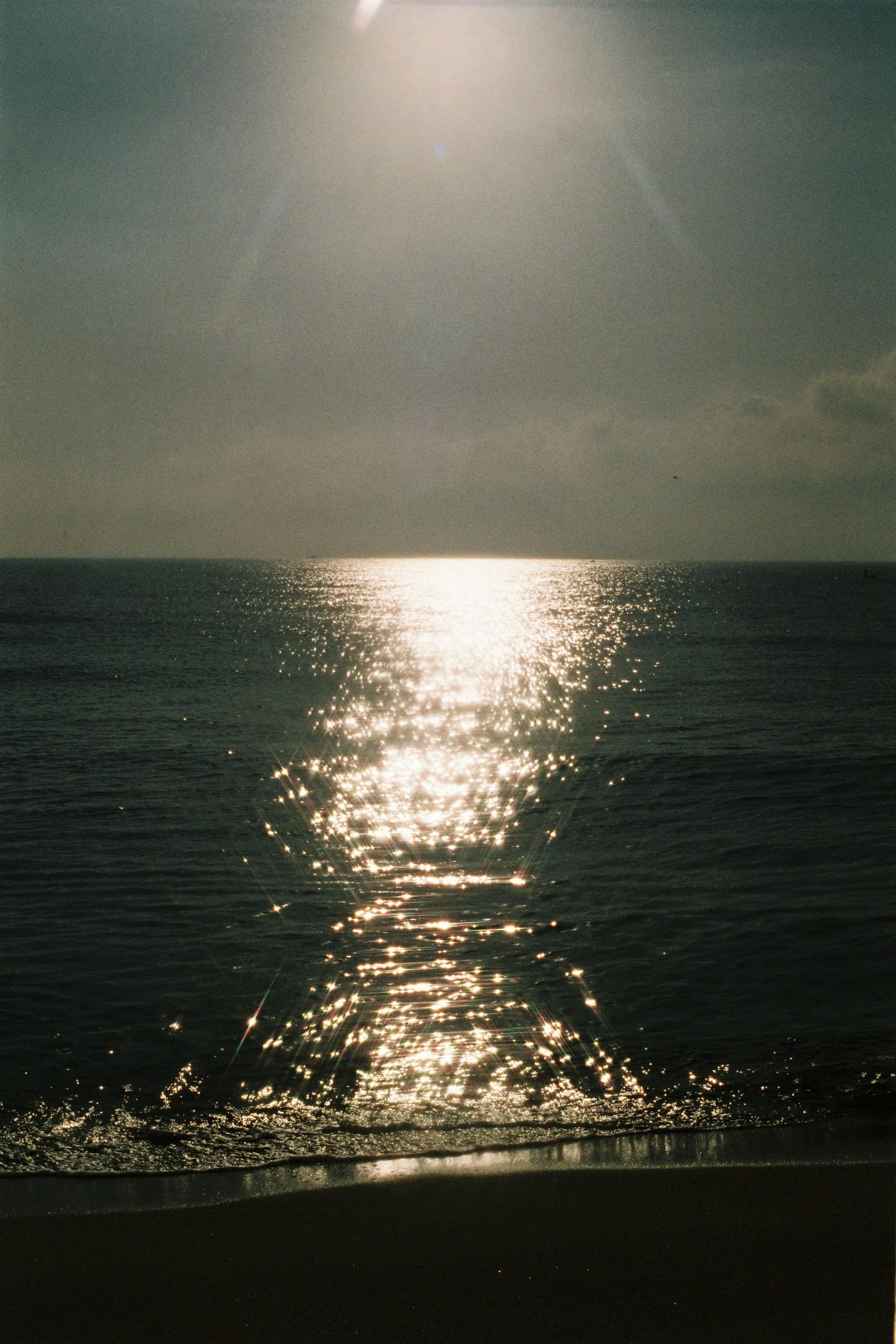 Second phase 82 Photos & Videos Collected by Danielle D