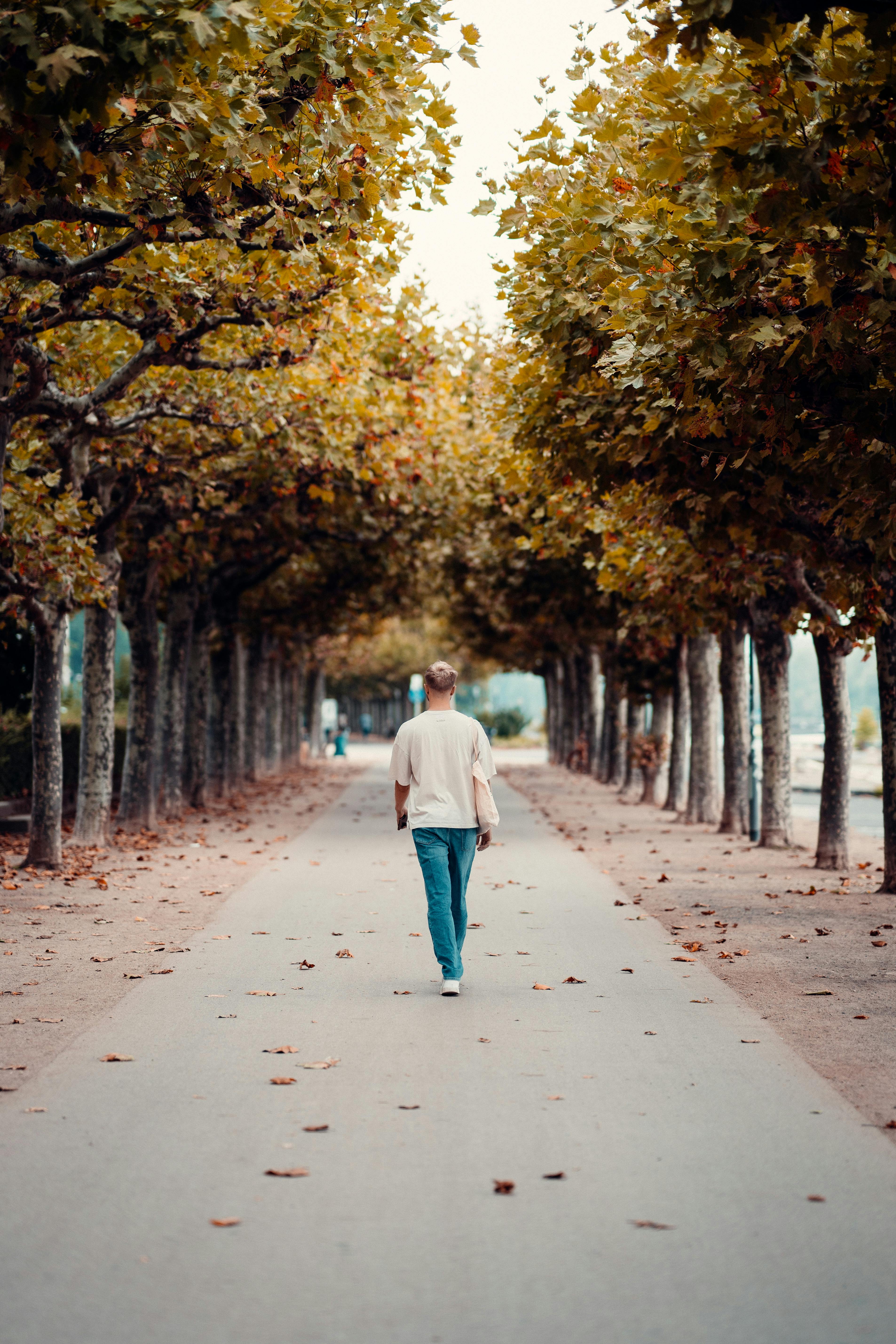Photo of Person Walking Beside Trees · Free Stock Photo