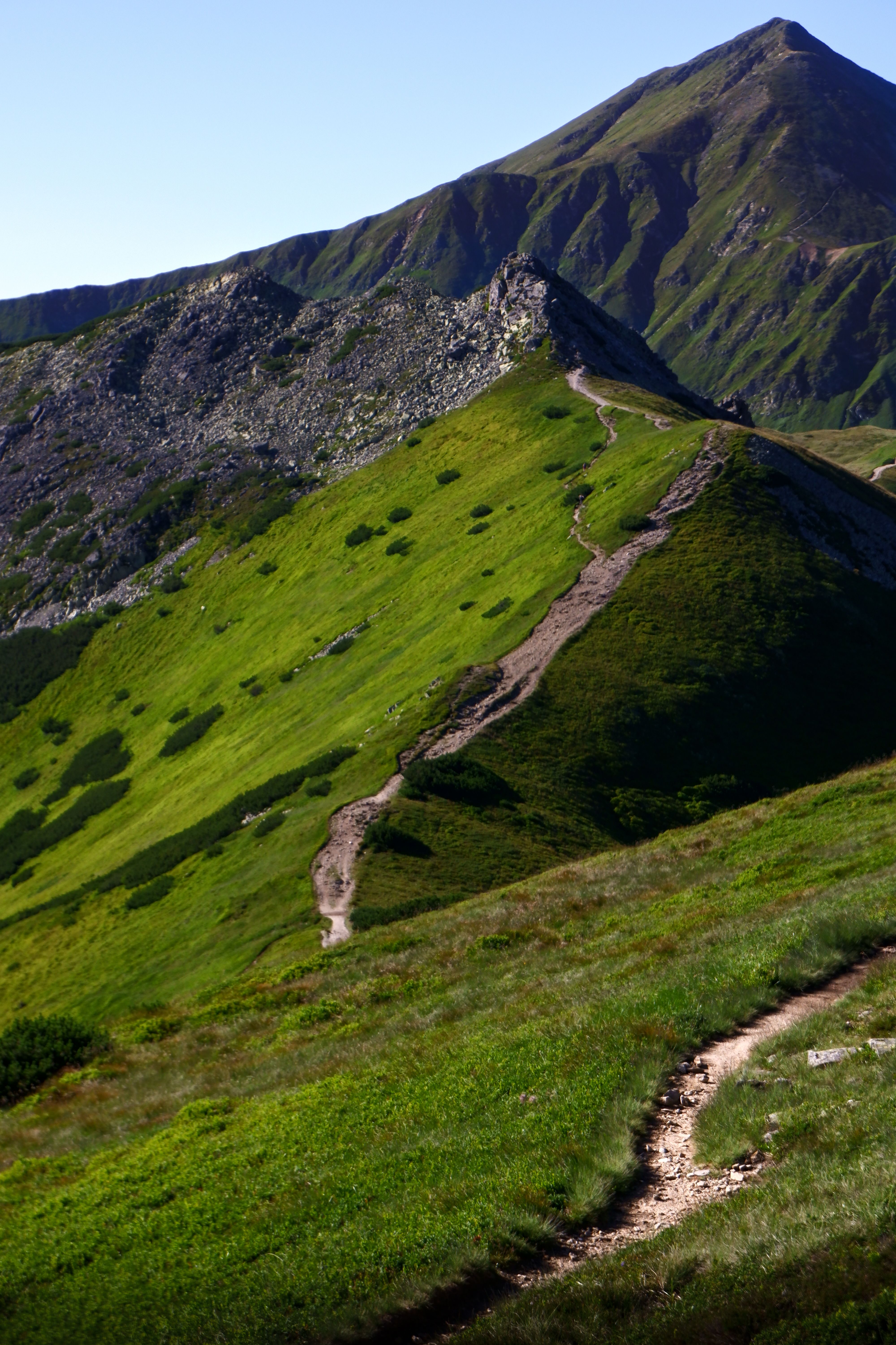 Grass Covered Mountain · Free Stock Photo
