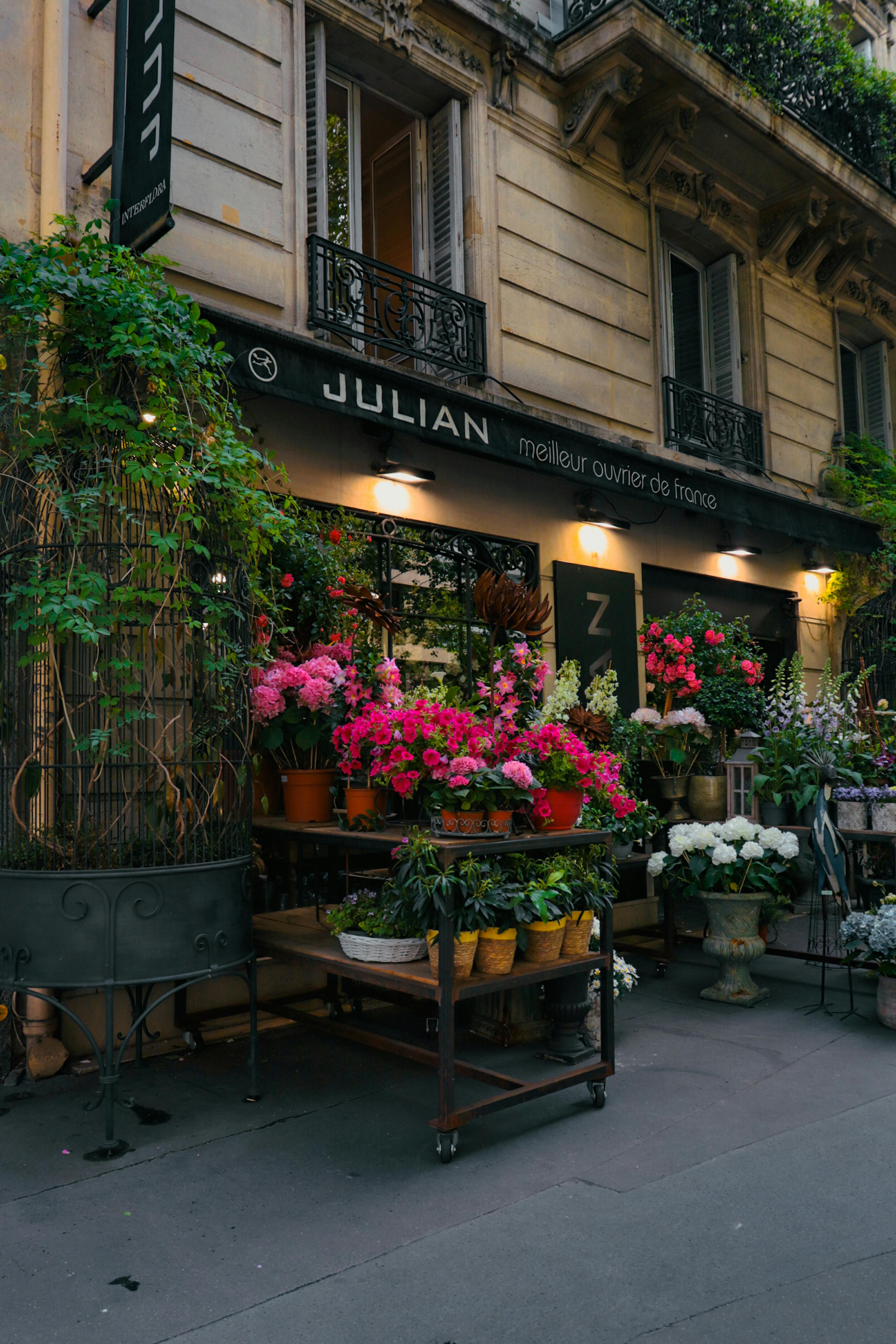 Plants outside a Building · Free Stock Photo