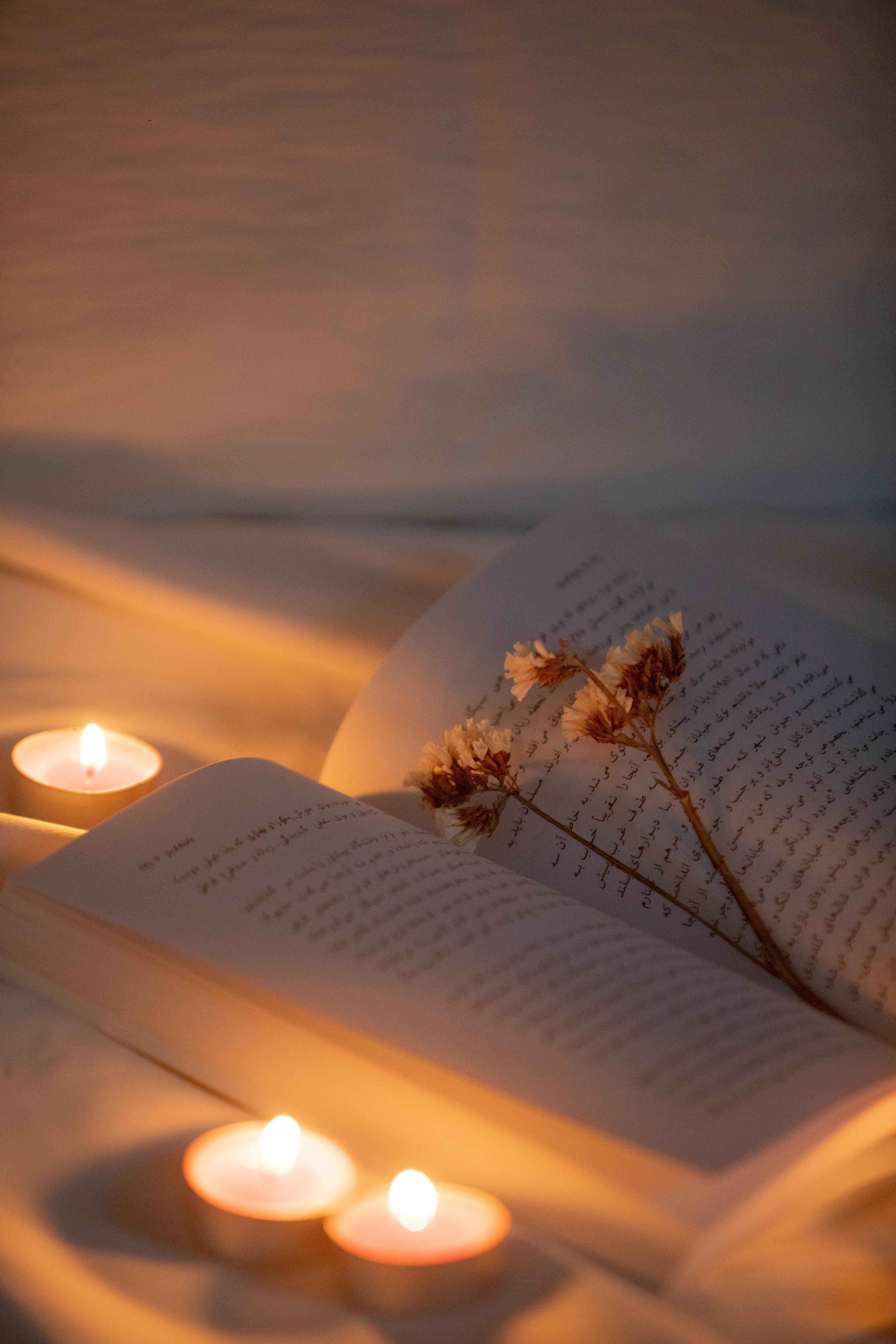 An Open Book with Dried Flowers on a White Blanket Surrounded with ...
