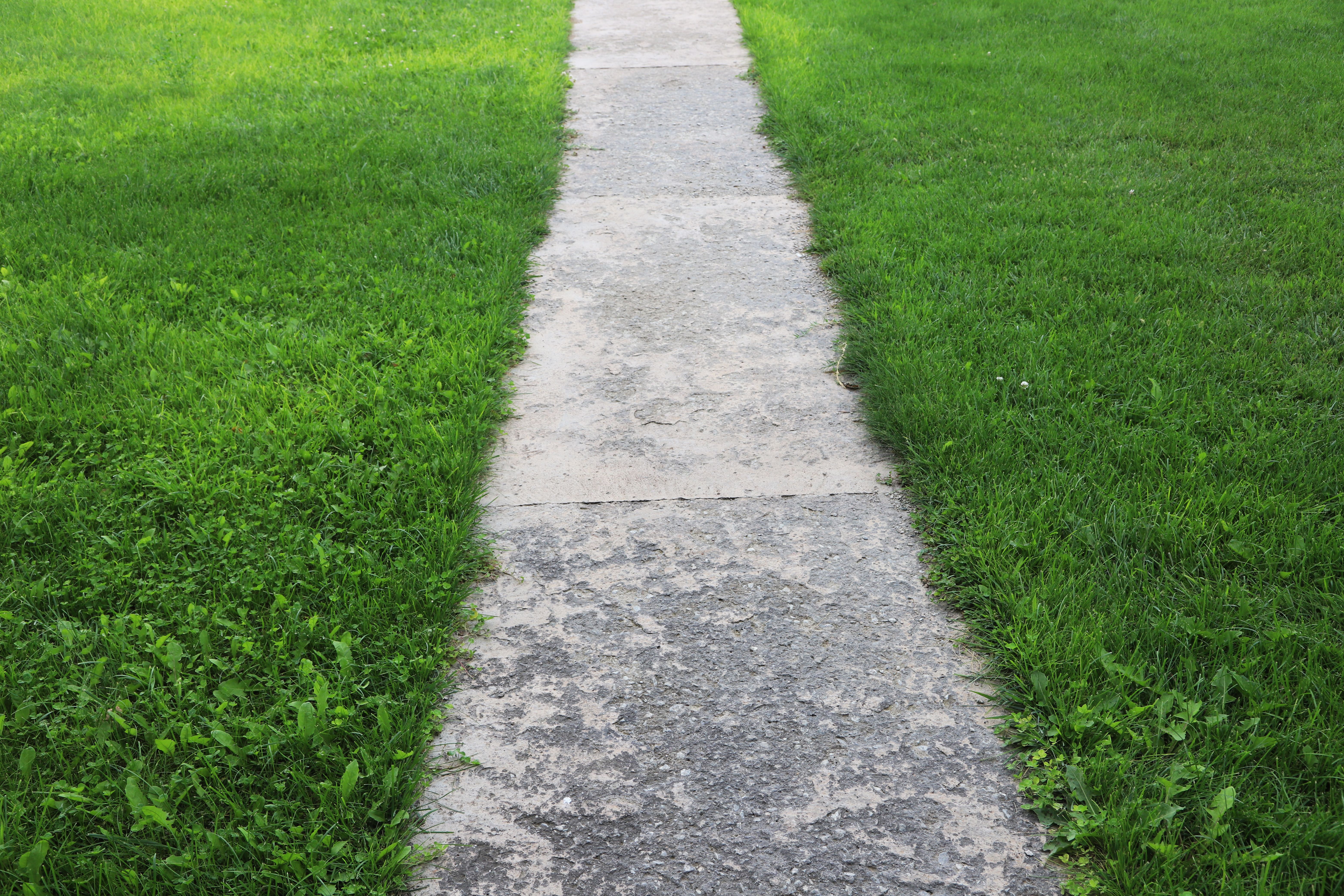 A Gray Concrete Pathway Between Green Grass Field · Free Stock Photo