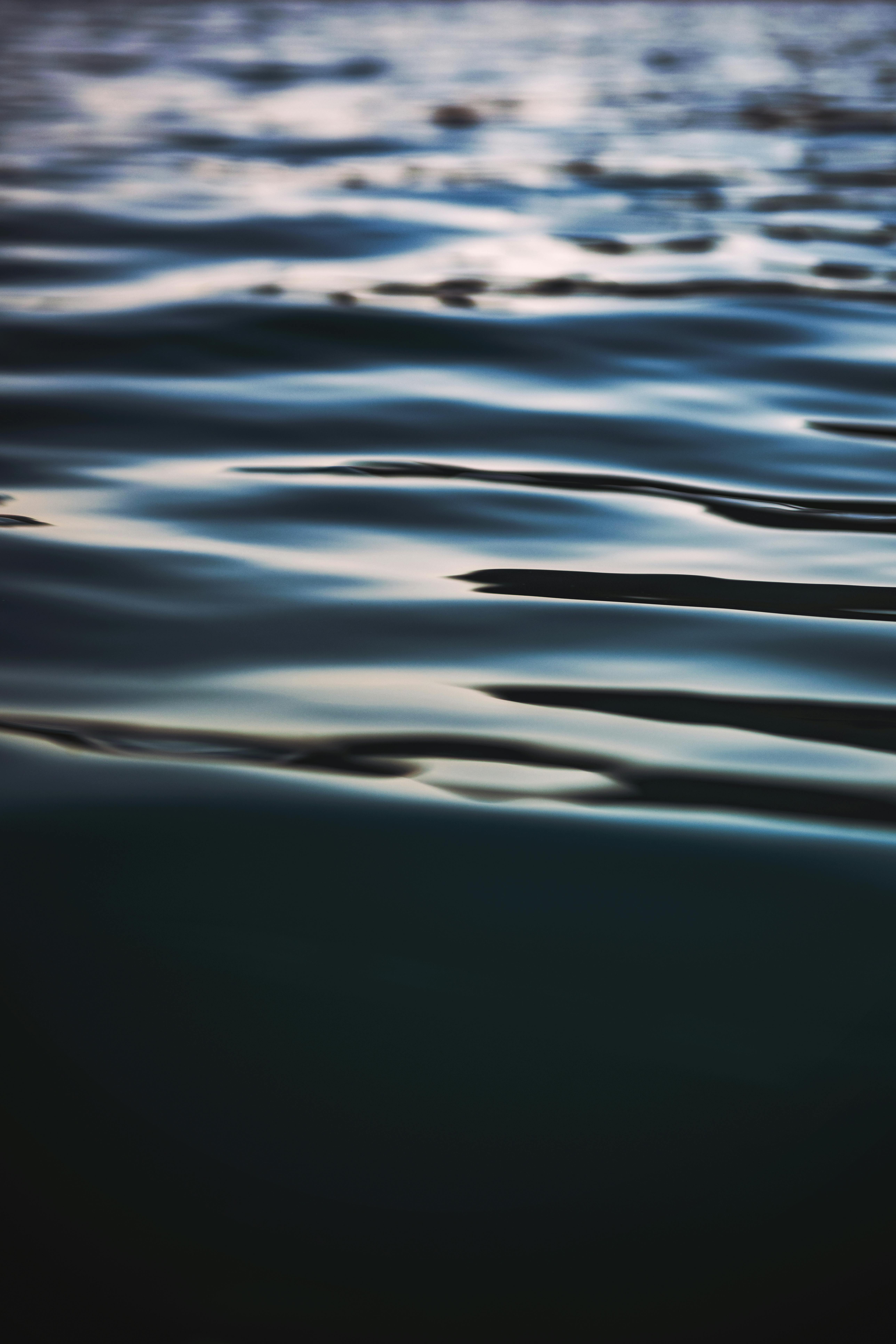 Water Ripple · Free Stock Photo