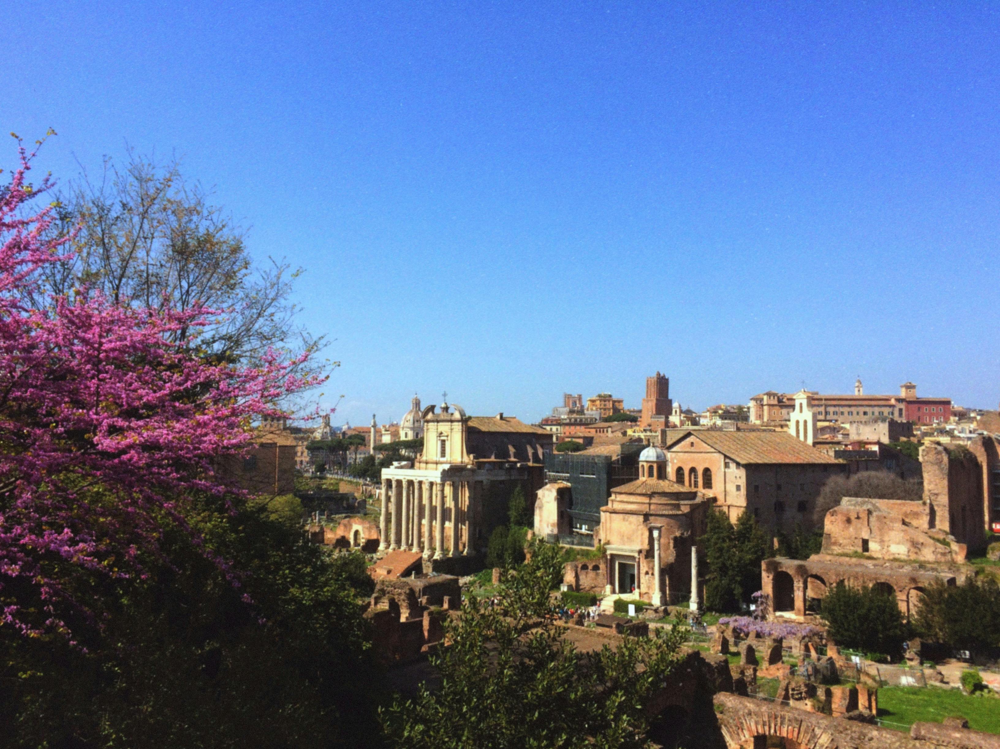 Jorge Samper - 摄影